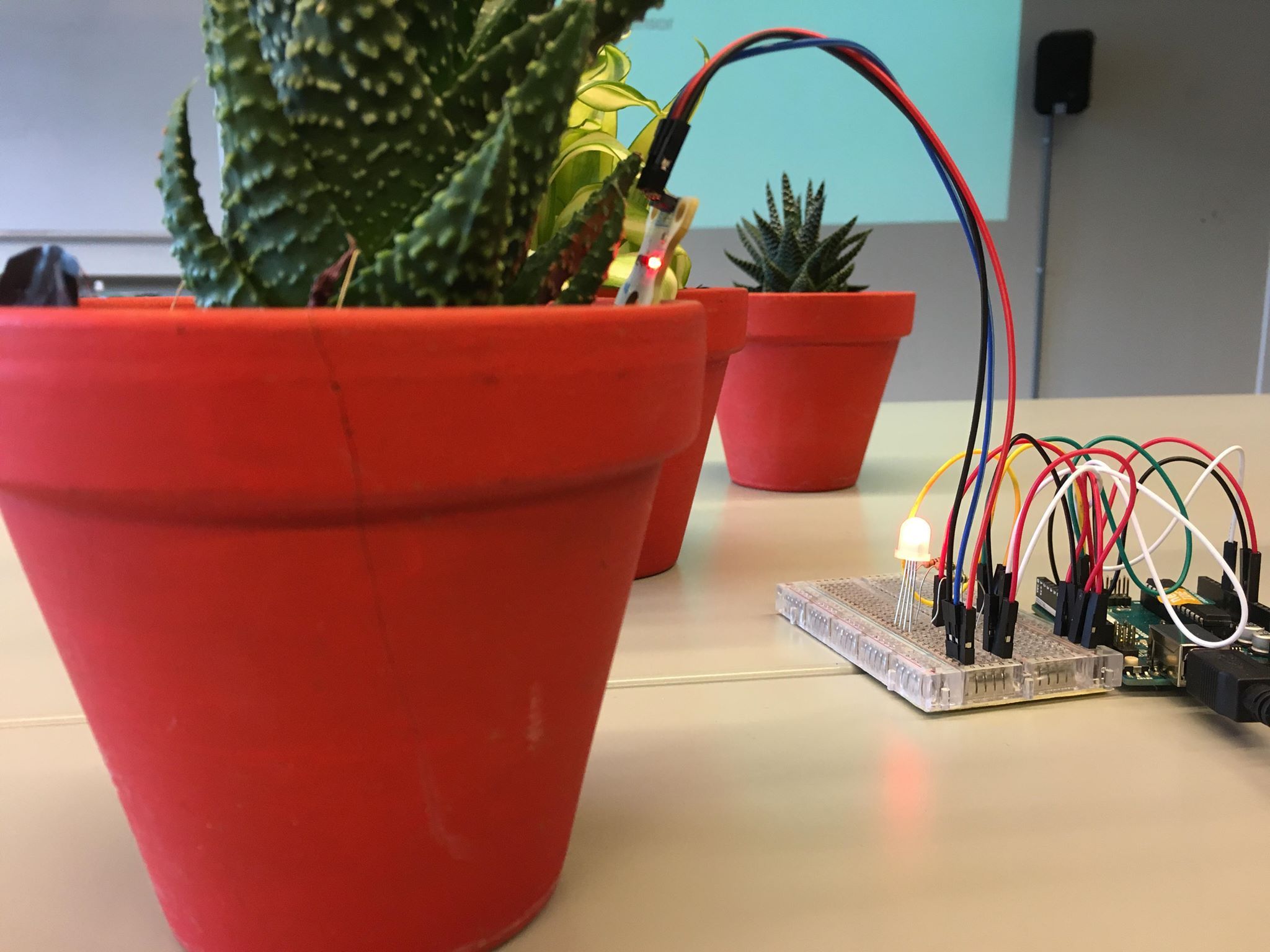 Plant Soil Moisture Tool : 4 Steps - Instructables