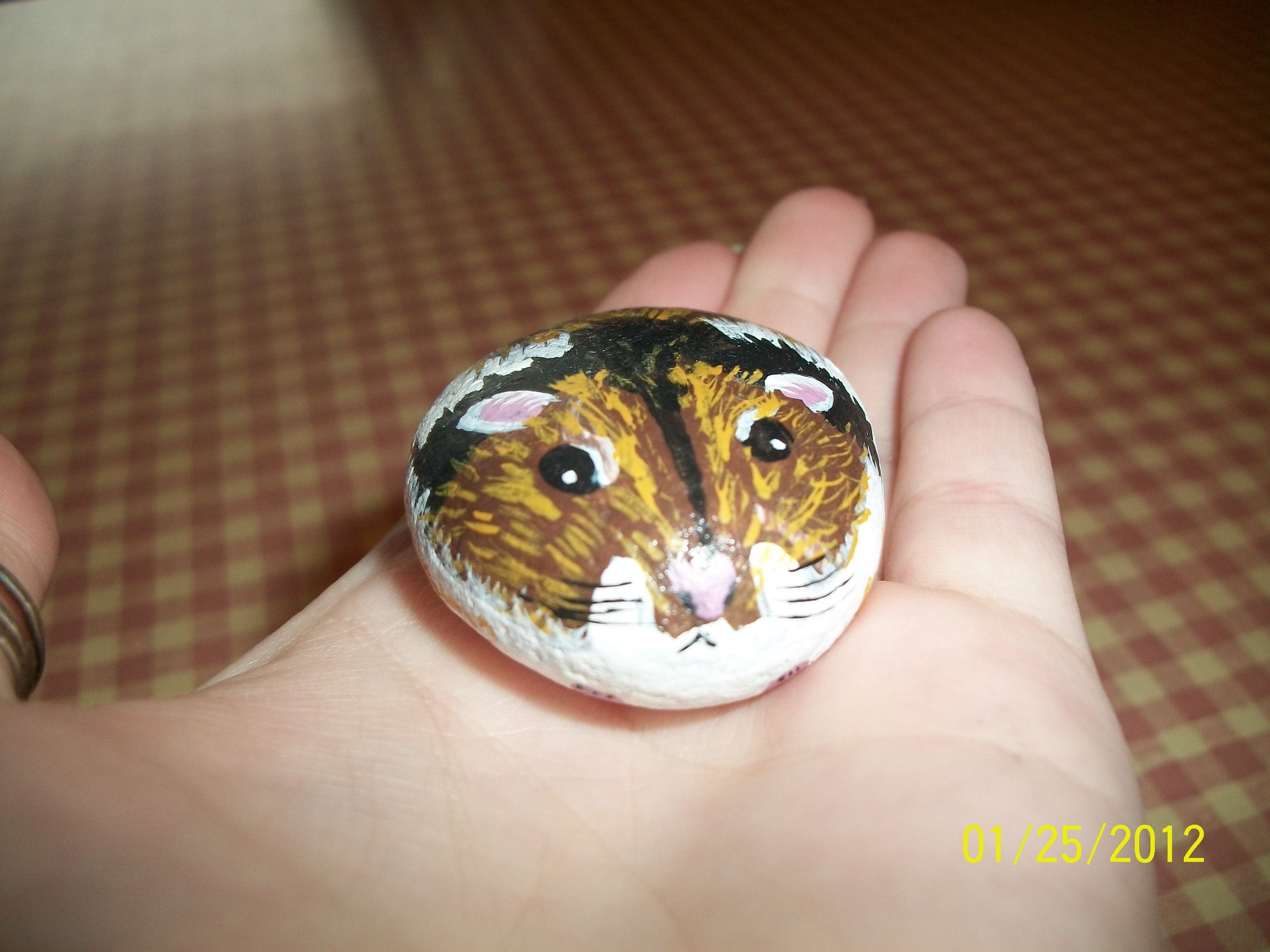 Painted Hamster Rock - Instructables