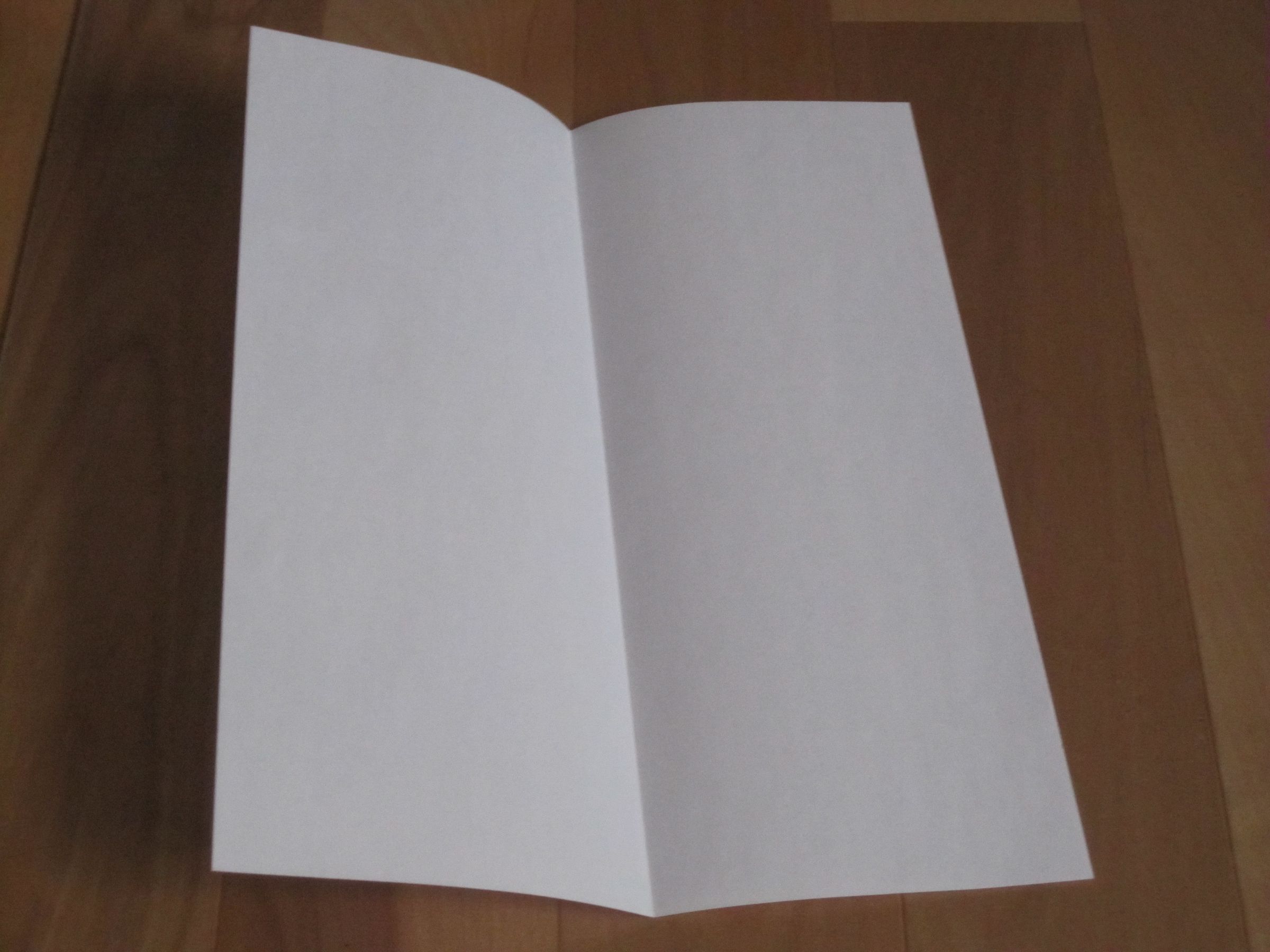 How to Fold the Paper Piggyback Jet. : 3 Steps - Instructables