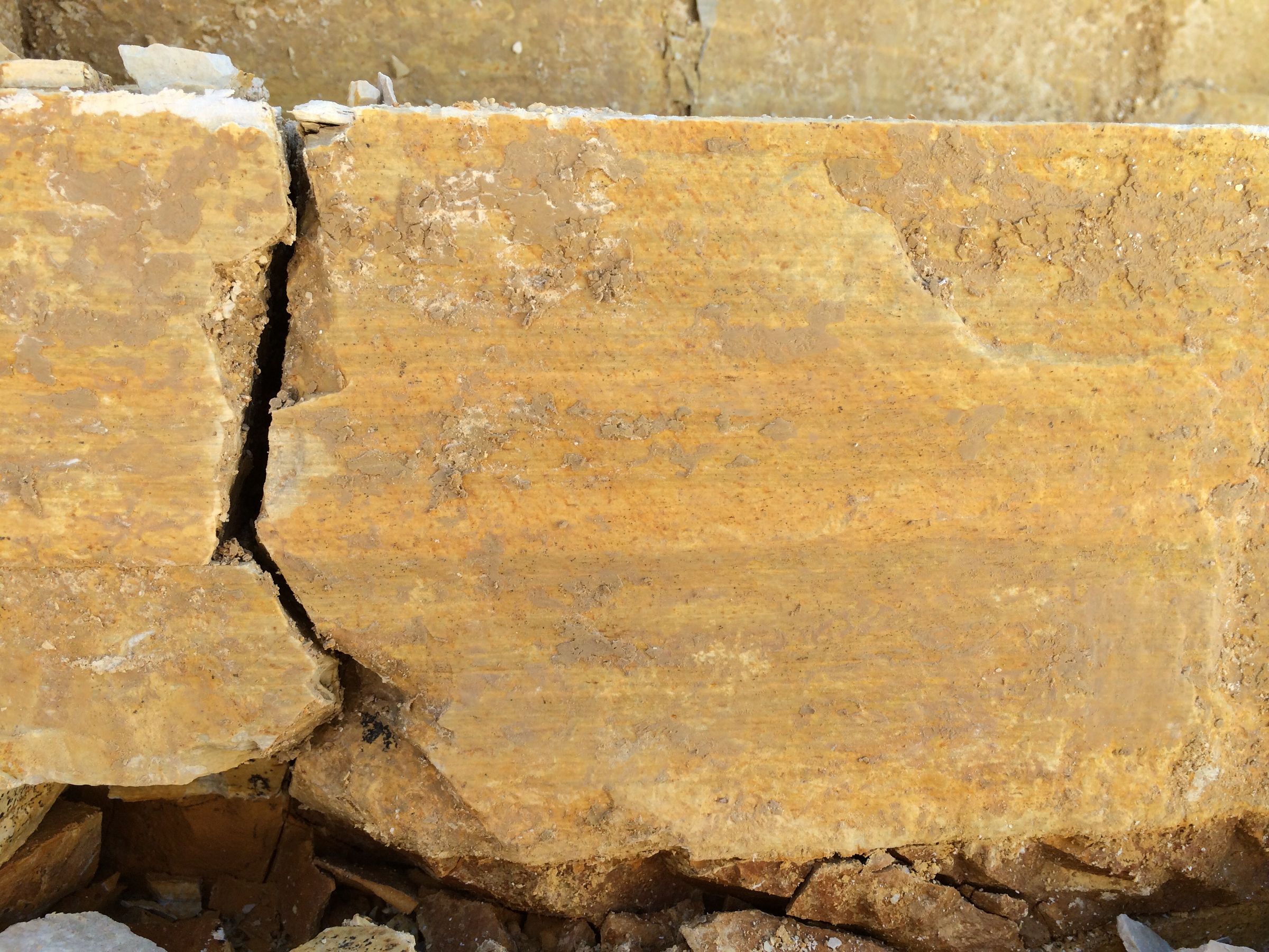 Split Limestone to Find Fossils!! : 4 Steps (with Pictures) - Instructables