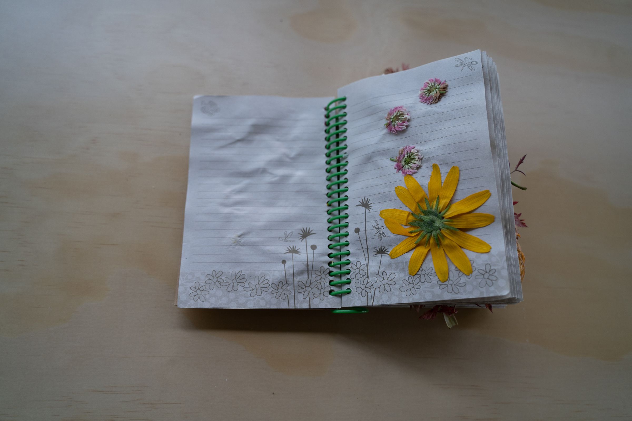 Creating a Map With Flowers + Constructing Your Own Artistic Style : 5 ...
