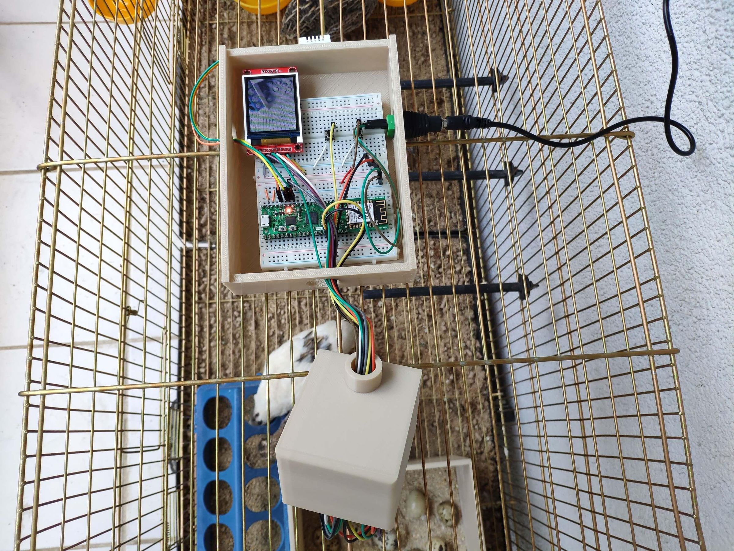 IoT AI-driven Poultry Feeder and Unhatched Egg Tracker W/ WhatsApp : 20 ...