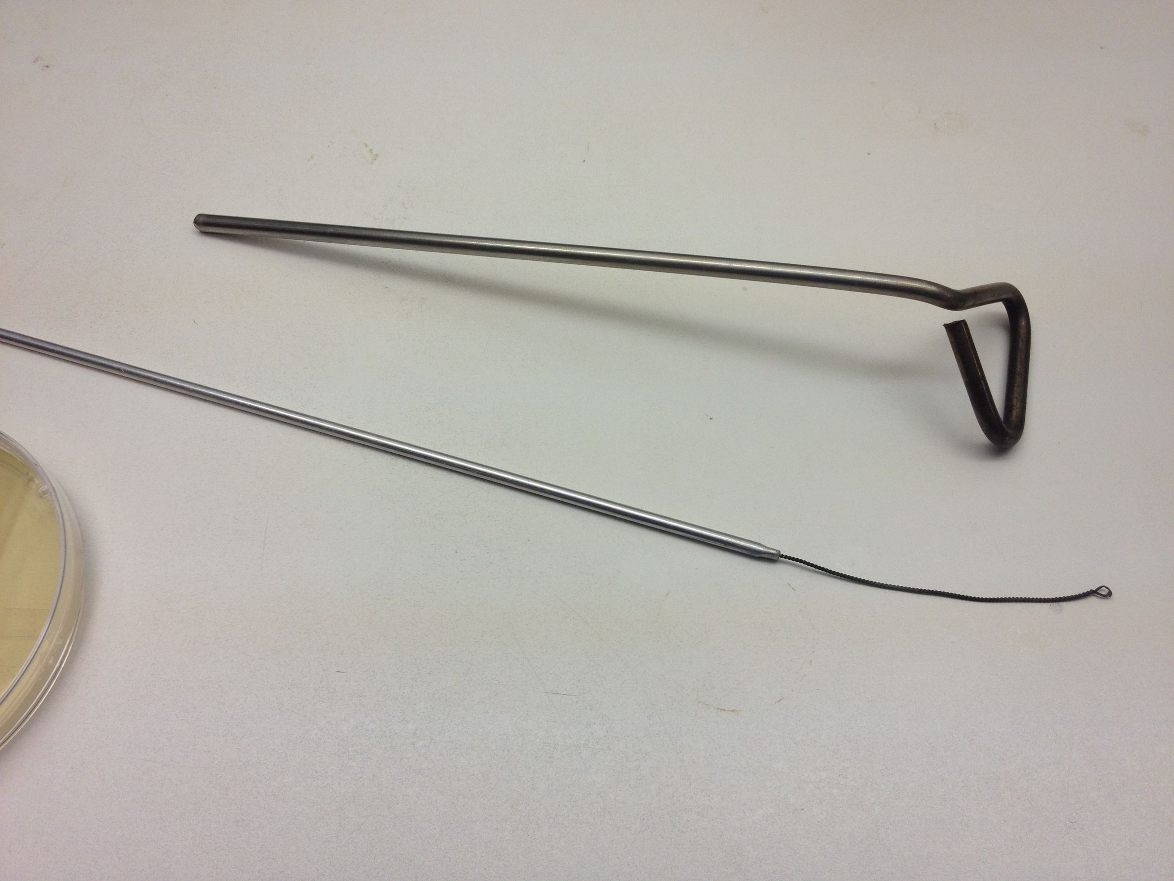 How to Make Solid Culture Medium Plates for Yeast Culture : 8 Steps ...