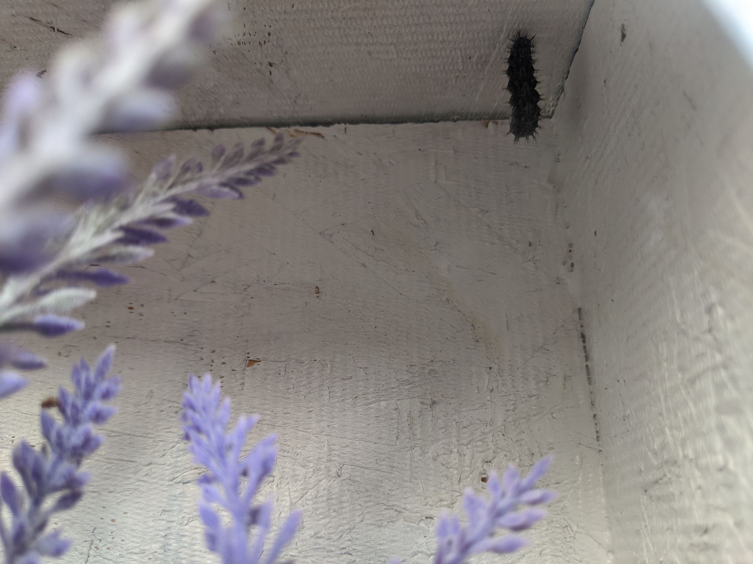 Butterfly Garden Boxes : 5 Steps (with Pictures) - Instructables