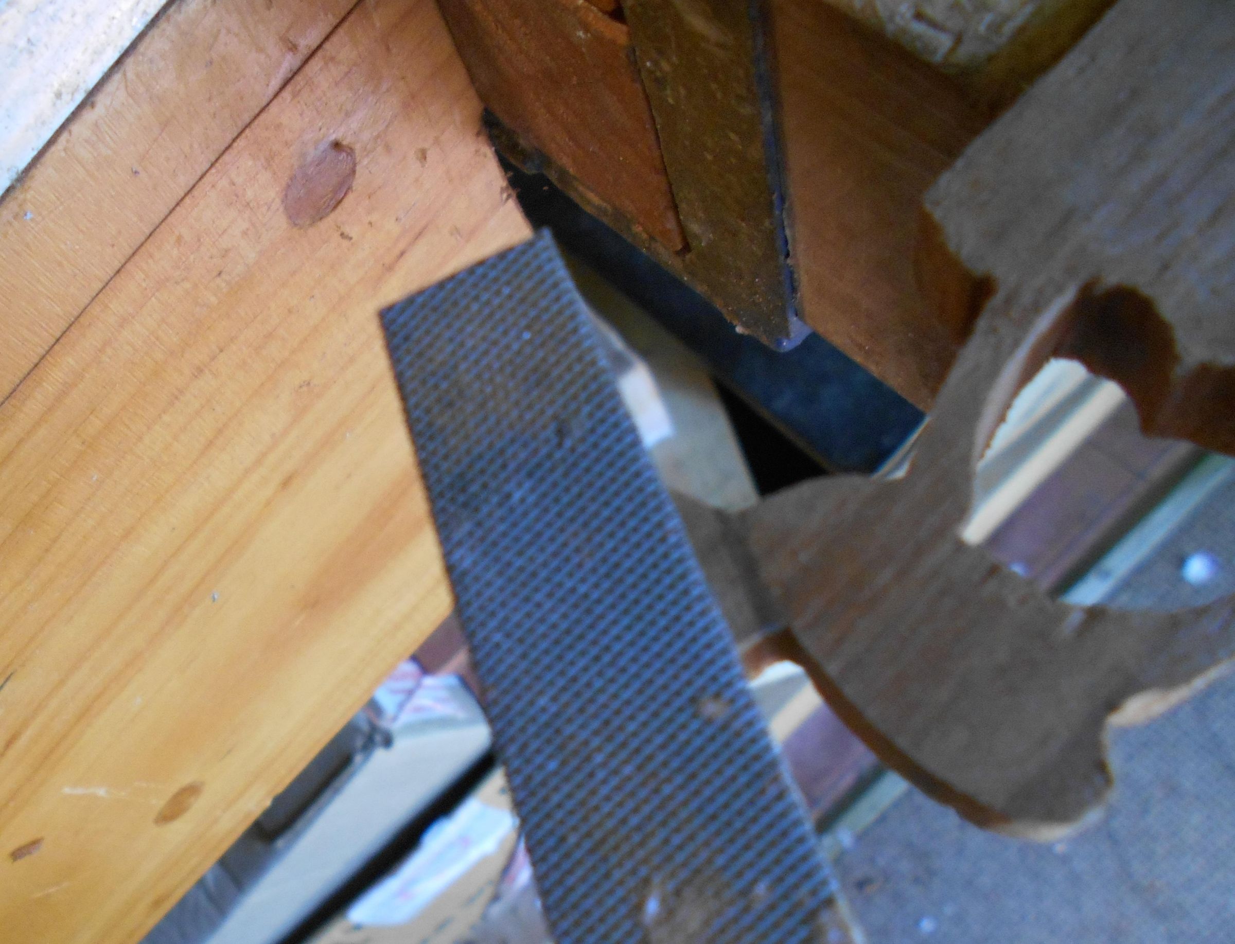 Wood Carving With Files - a Small Deer : 16 Steps (with Pictures ...