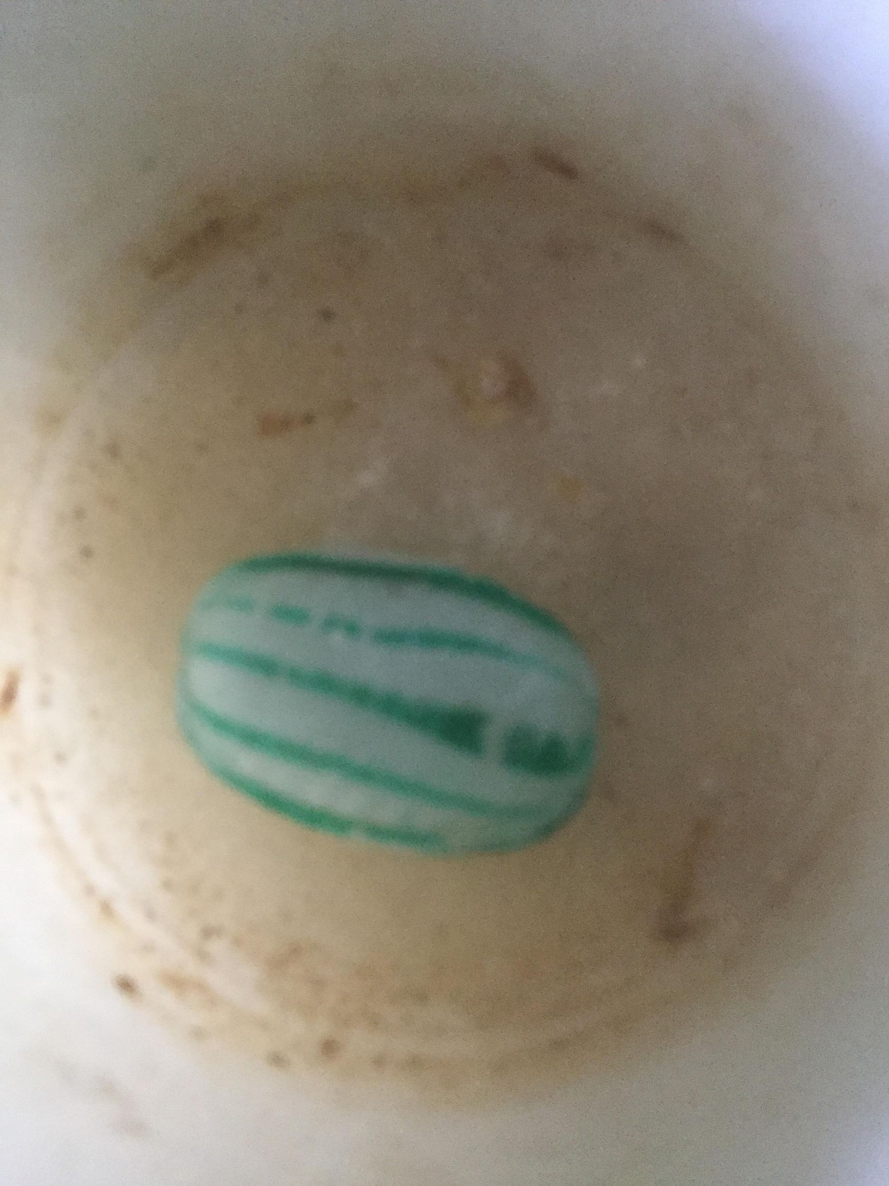 Marine Ecosystem Model With Candy! : 30 Steps - Instructables