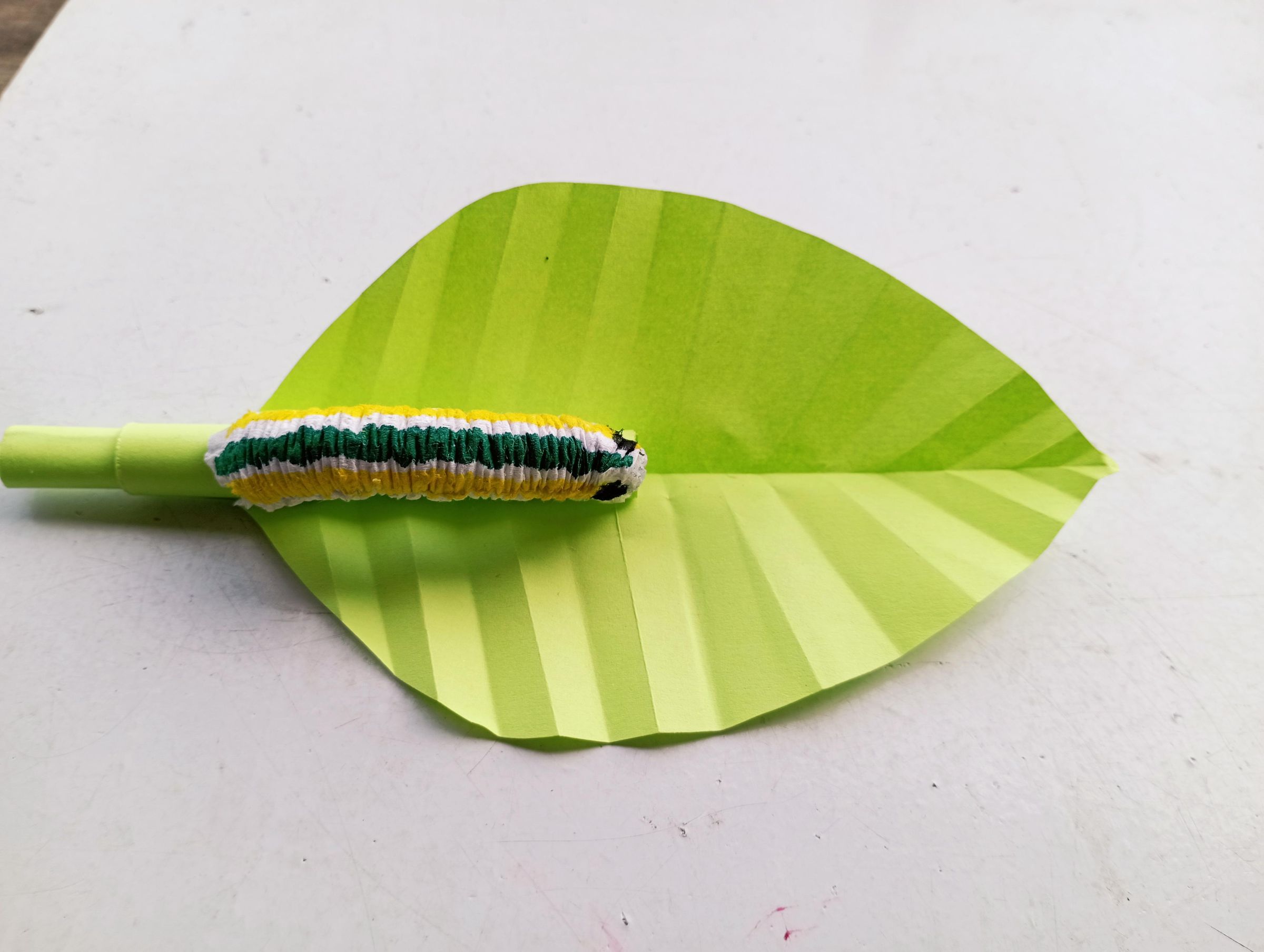 Super Simple DIY Fun Paper Wriggling Caterpillar. : 10 Steps (with ...