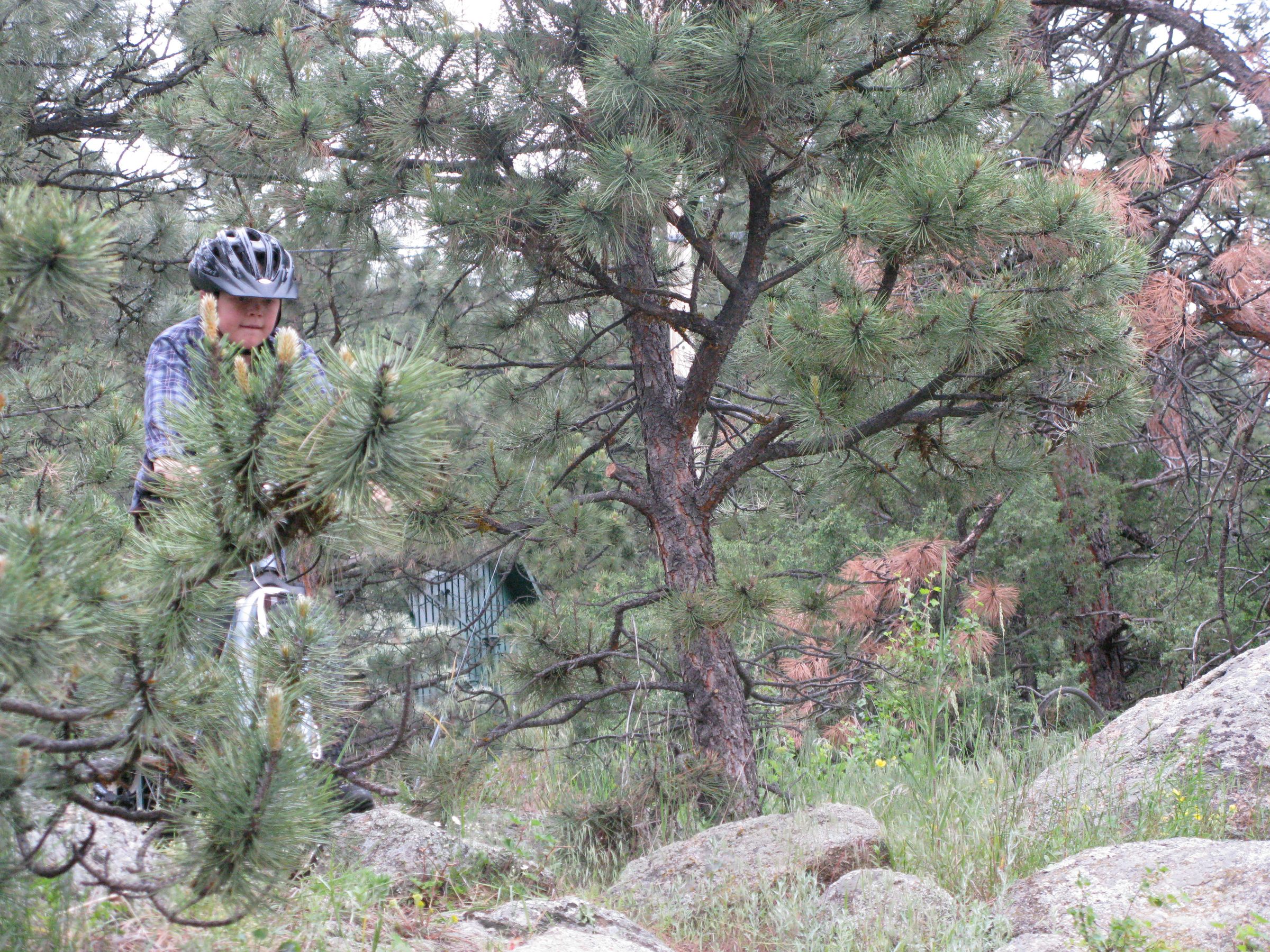 Bulid a Mountain Bike Trail : 7 Steps - Instructables