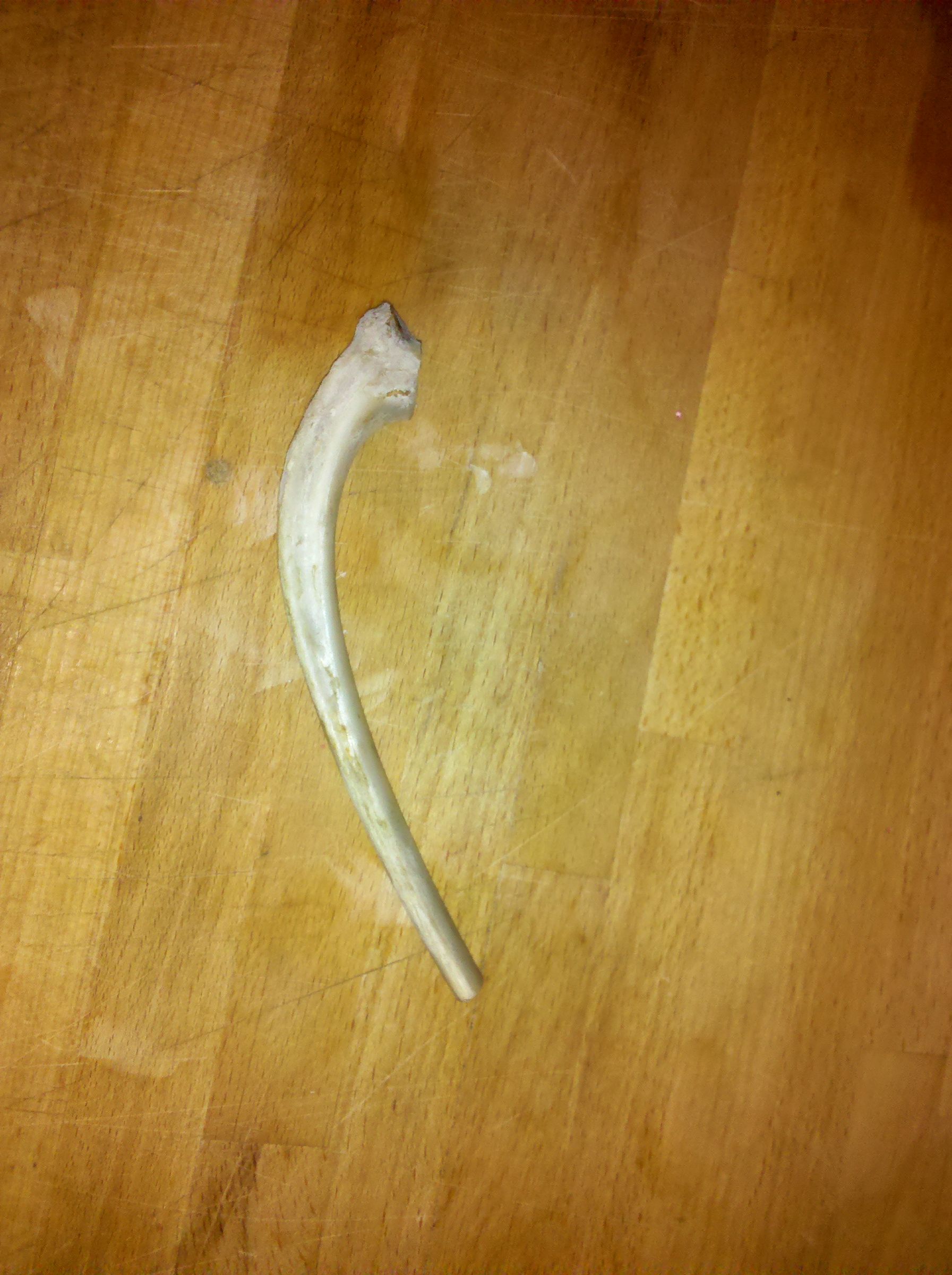 Carve a Bone Needle for Naalbinding : 6 Steps - Instructables