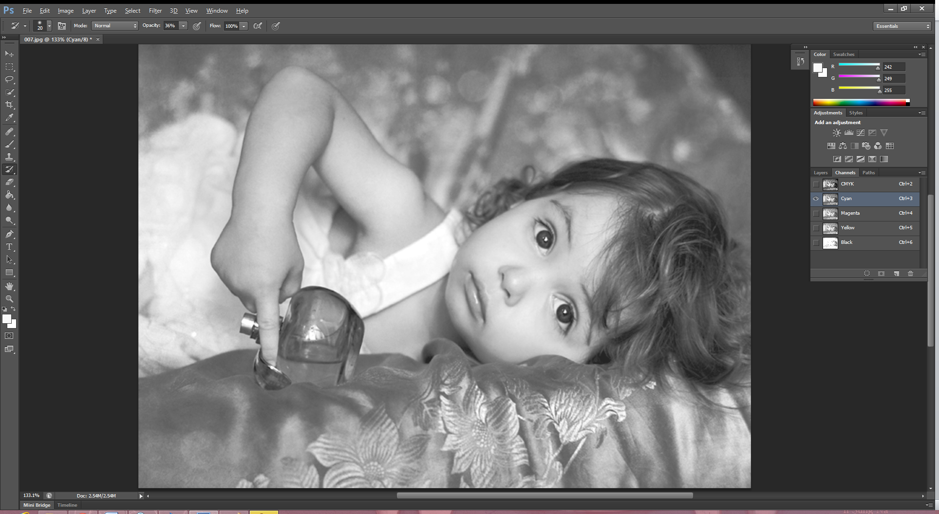 How to Color a Black and White Photo : 20 Steps (with Pictures ...