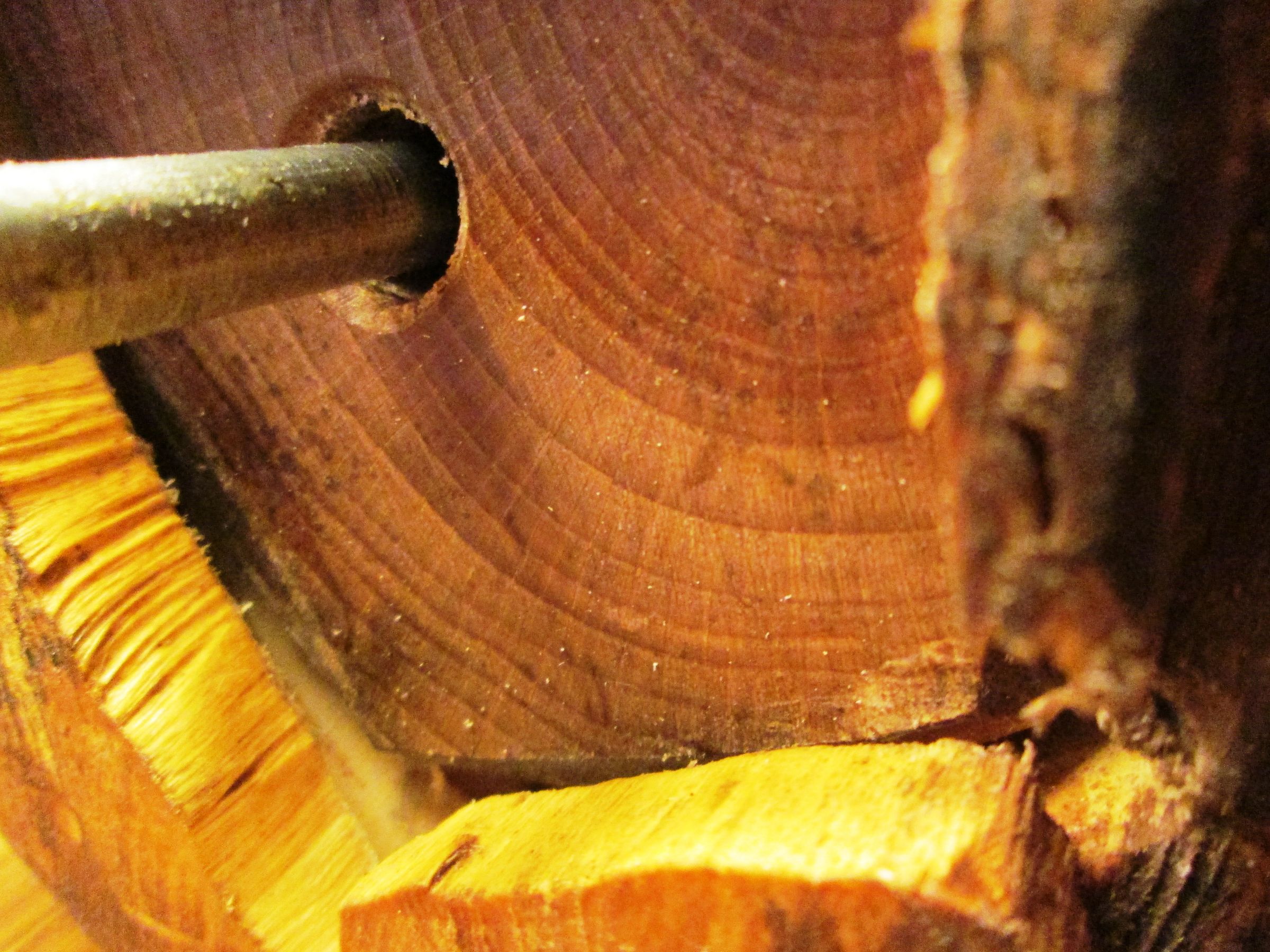 Handheld Tree Cannon - Nerf Style : 6 Steps (with Pictures) - Instructables