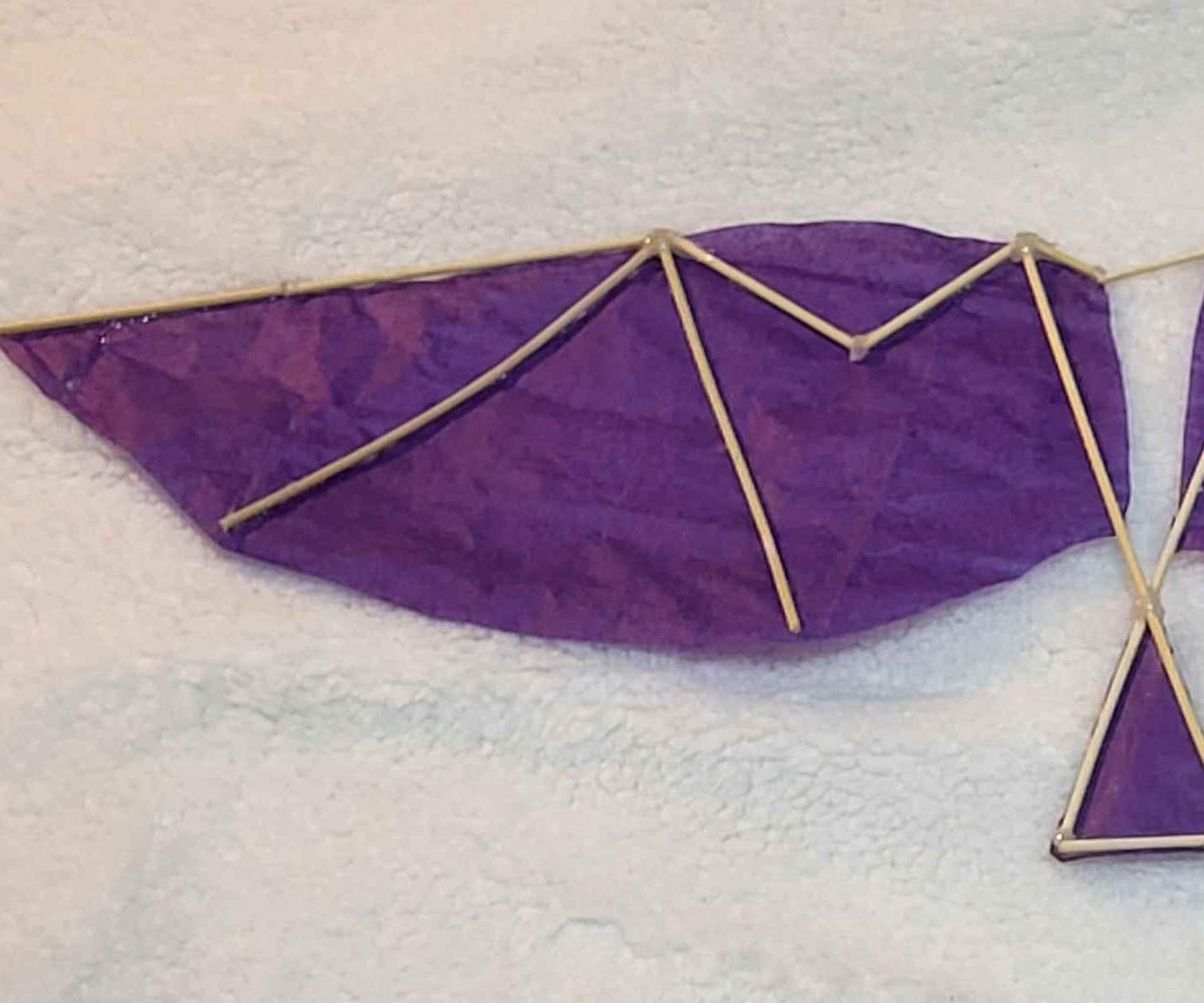 Bird Wing Glider : 7 Steps (with Pictures) - Instructables