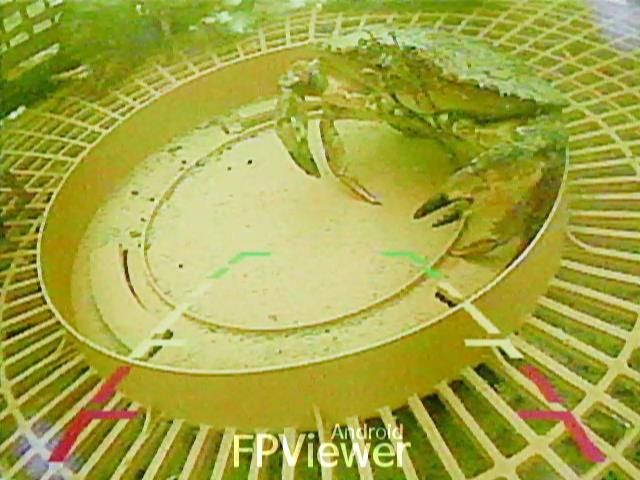 CrabCam Part One: Overview and Camera Construction : 5 Steps ...