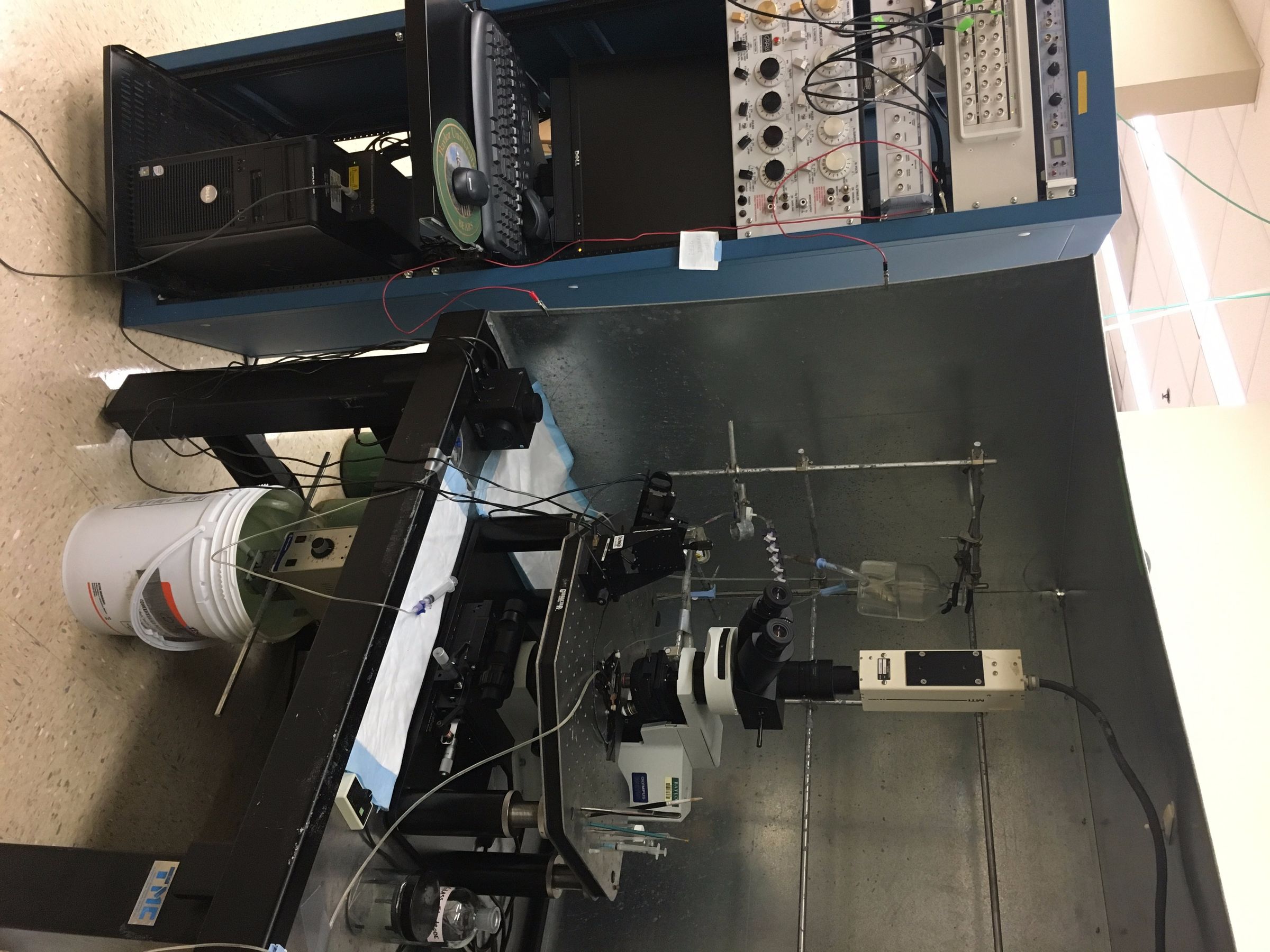 Making 10x Low Ca/High Mg Artificial Cerebrospinal Fluid : 3 Steps ...