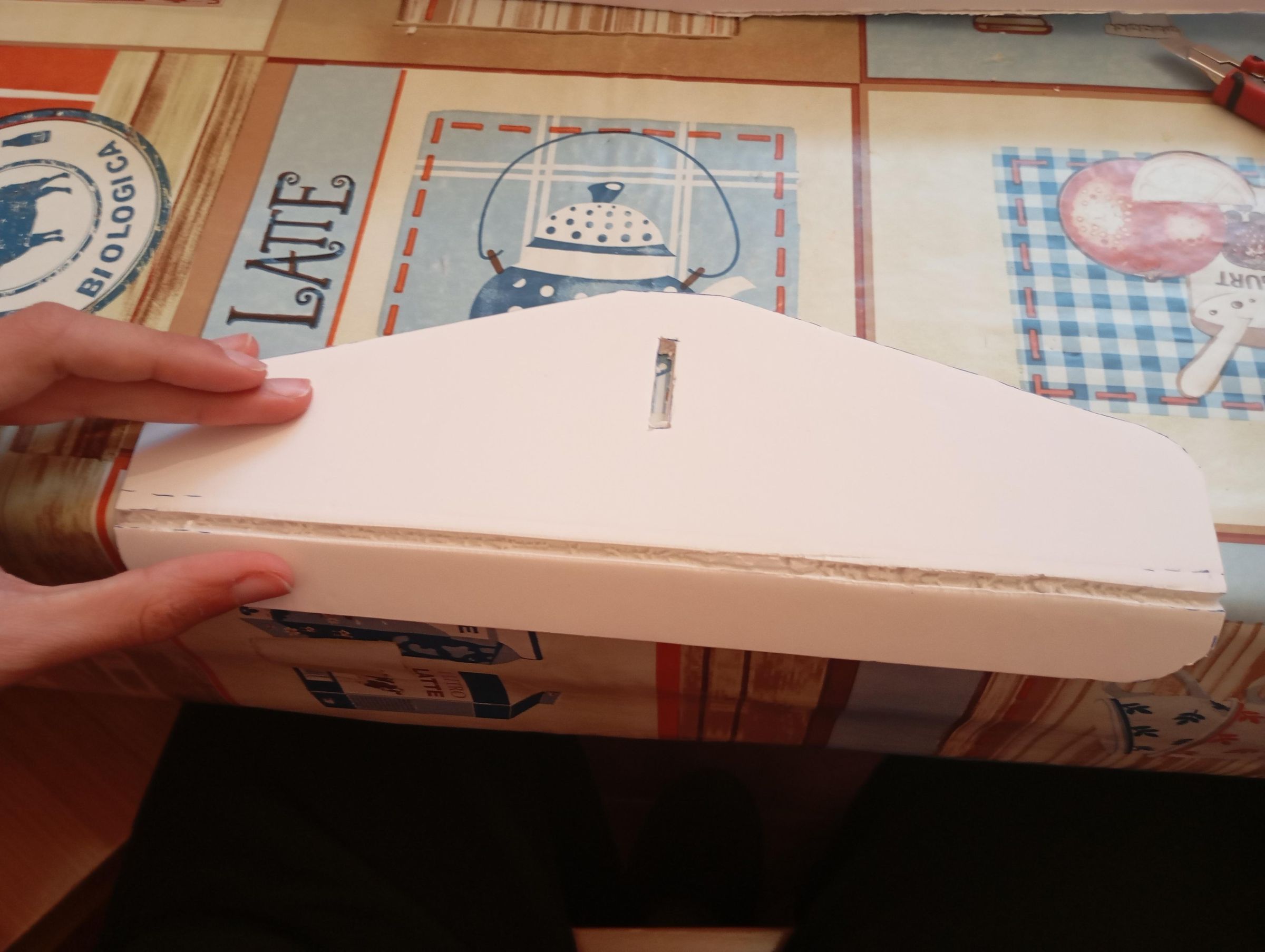 Lightweight Foamboard RC Glider: Build Your Own Remote-Controlled Plane ...