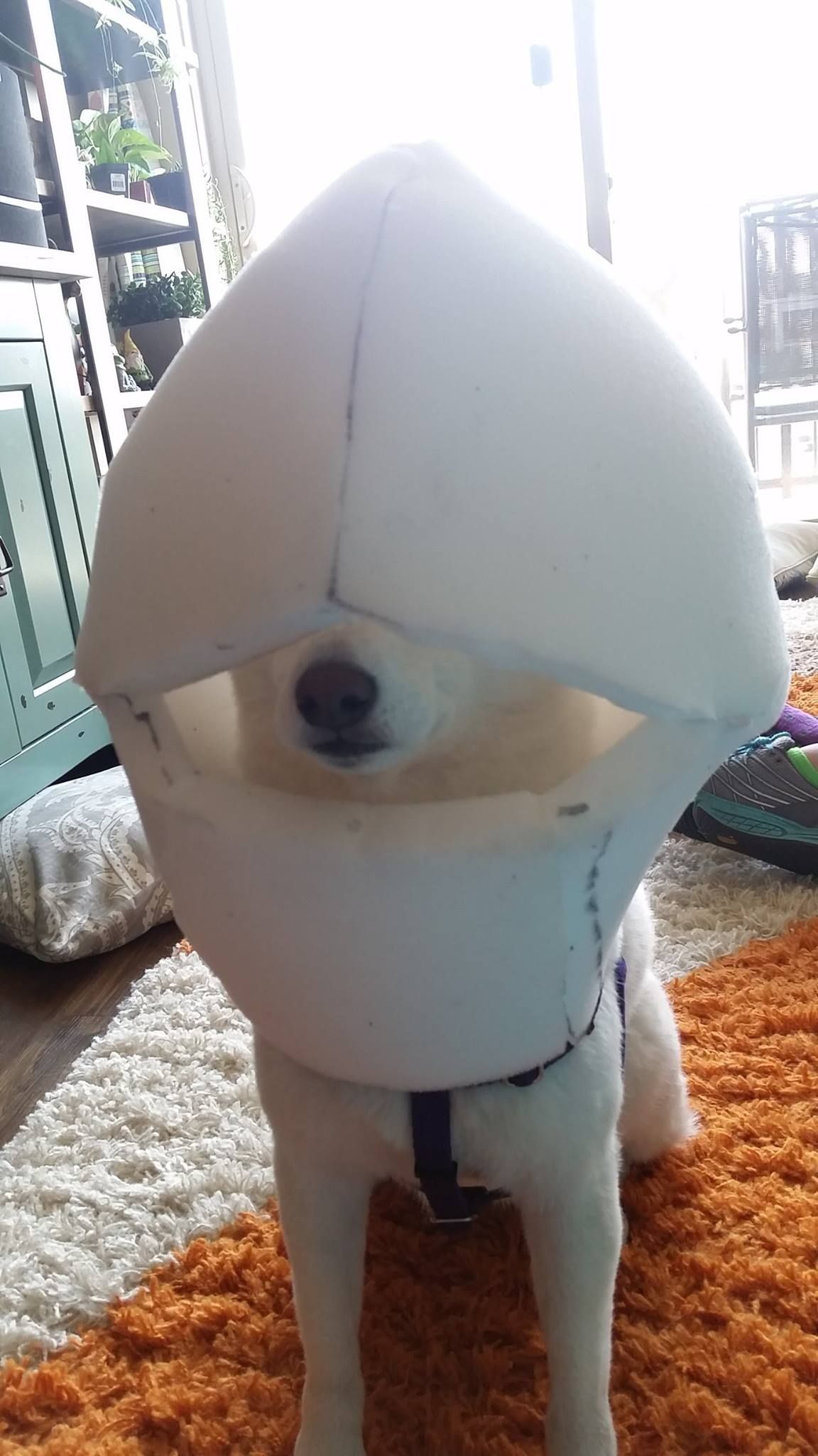 Two-Headed Monster Costume : 8 Steps (with Pictures) - Instructables