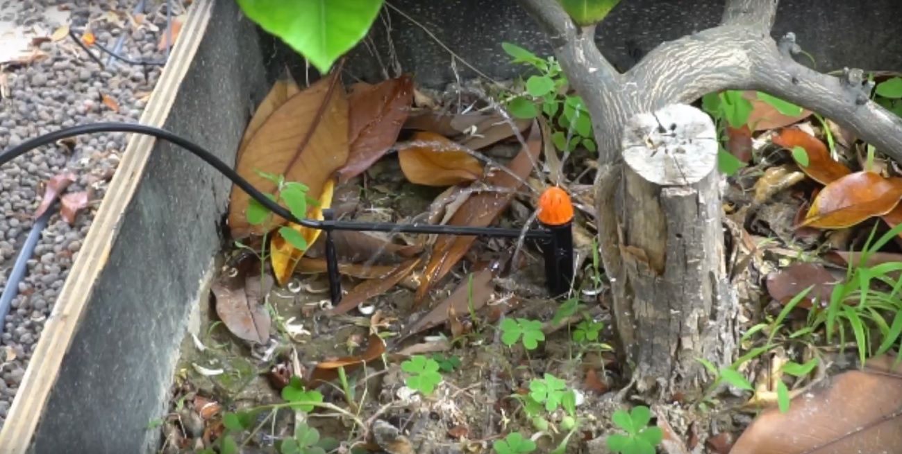How to Install a Drip Irrigation System : 6 Steps - Instructables