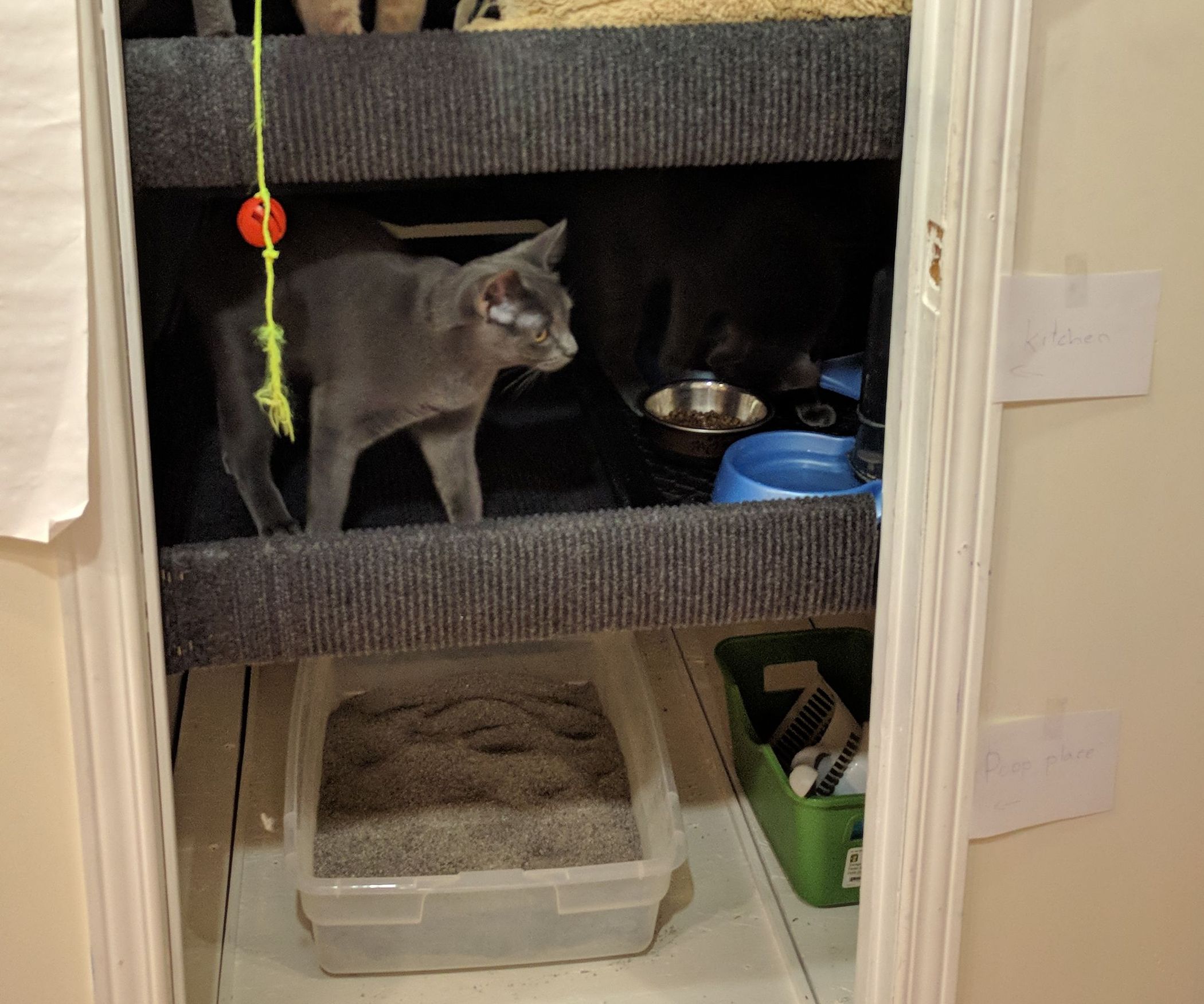 A Cat Chalet; Why Not? : 7 Steps (with Pictures) - Instructables