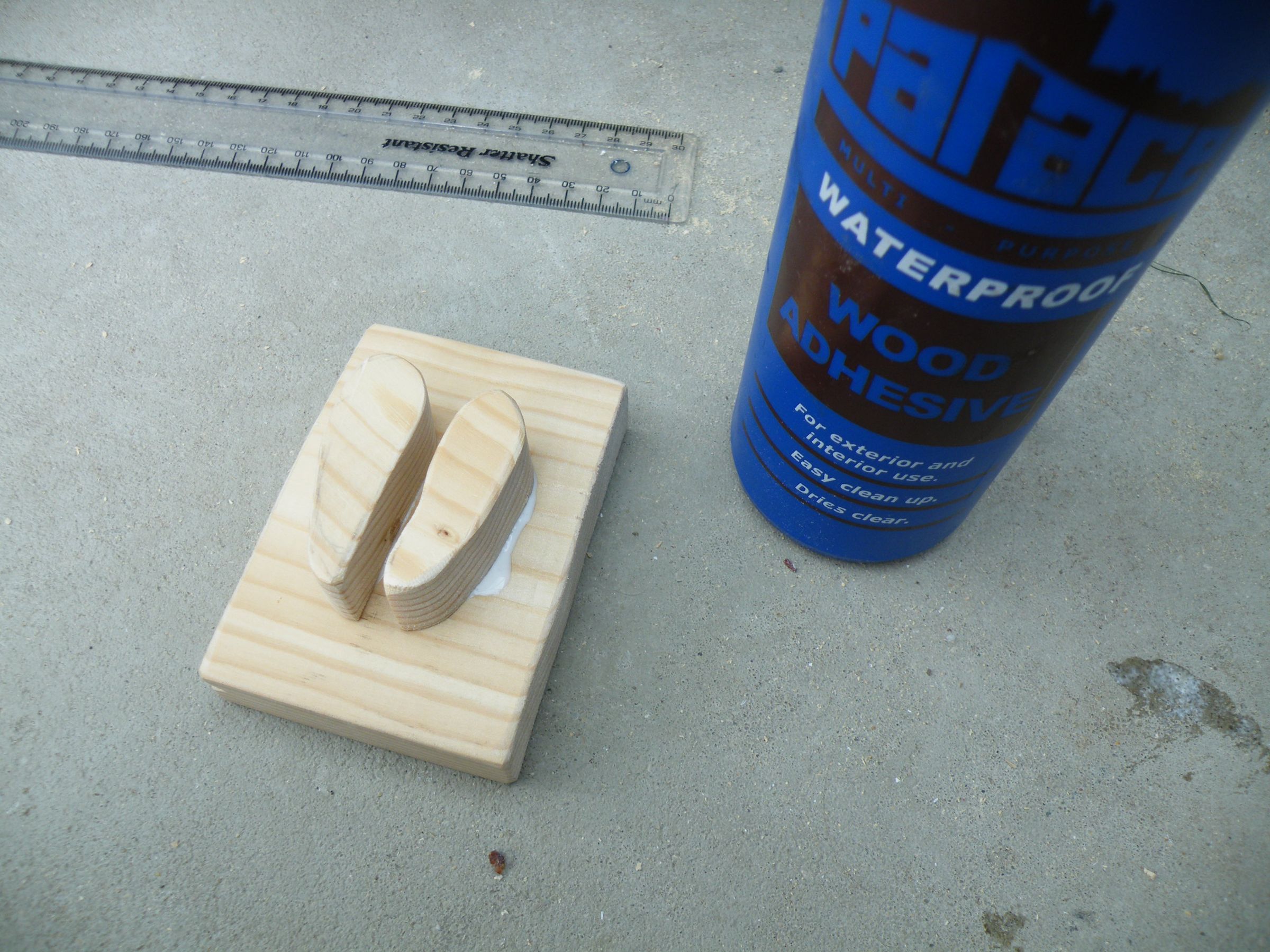 Animal Tracks for Plaster Casting. : 5 Steps (with Pictures ...