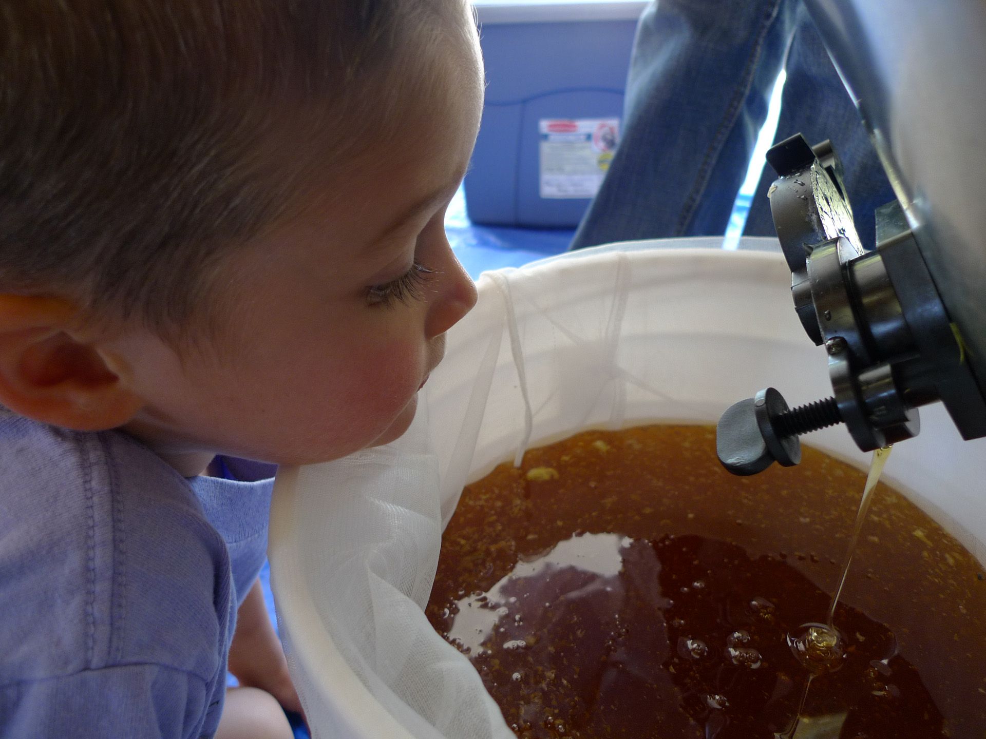 Extracting Honey : 8 Steps (with Pictures) - Instructables