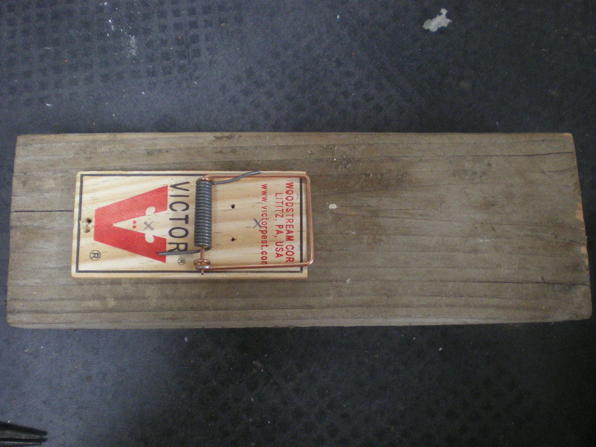 Airsoft Mousetrap Claymore : 9 Steps - Instructables