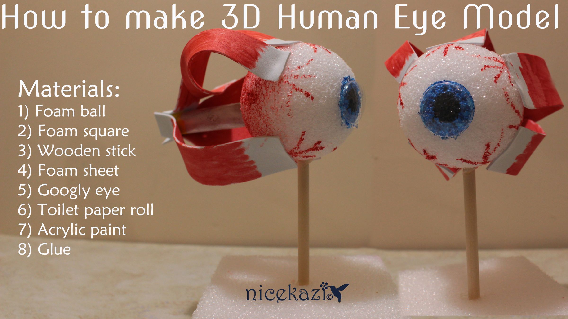How to Make 3D Human Eye Model: Easy Way - Instructables