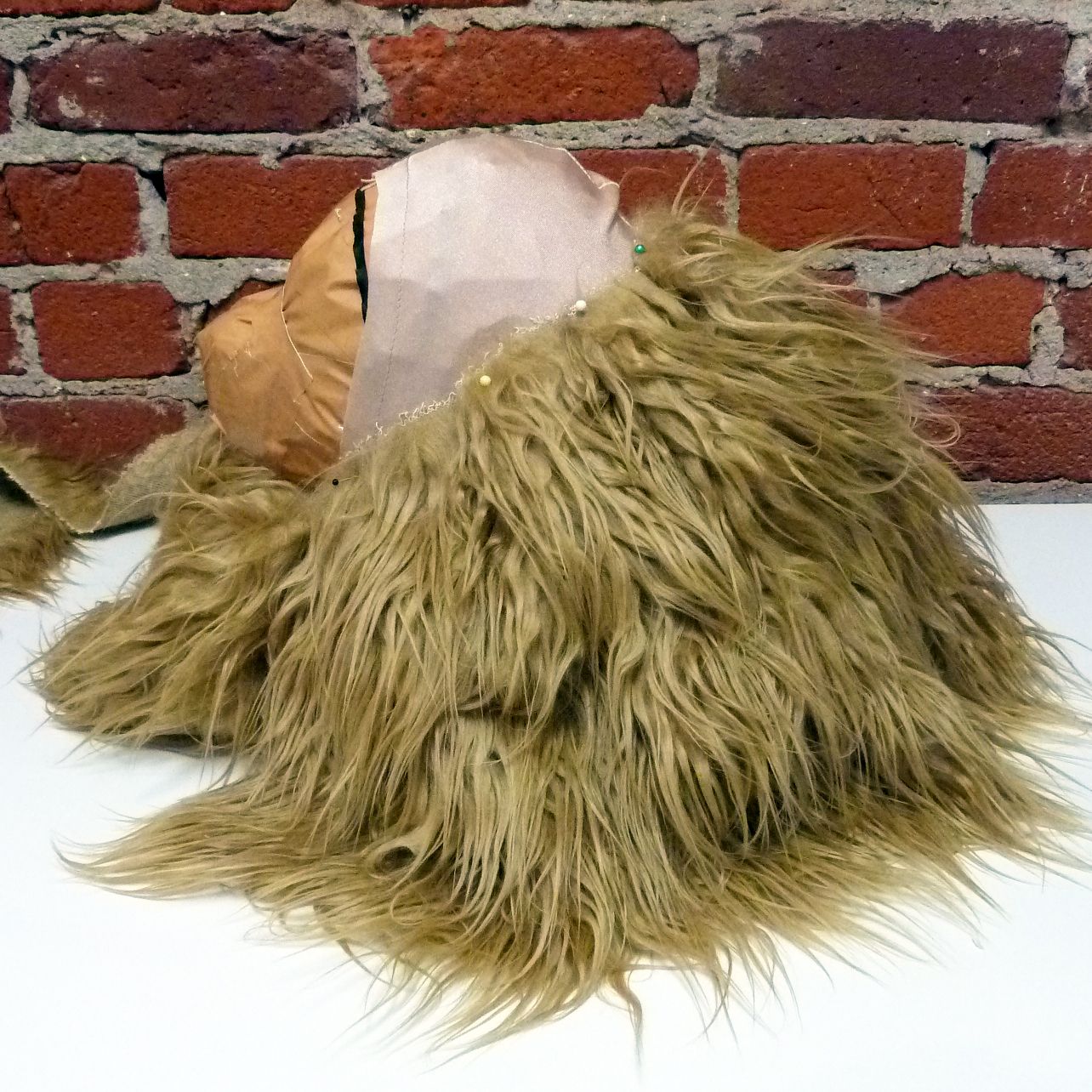 Lion Dog Costume : 5 Steps (with Pictures) - Instructables