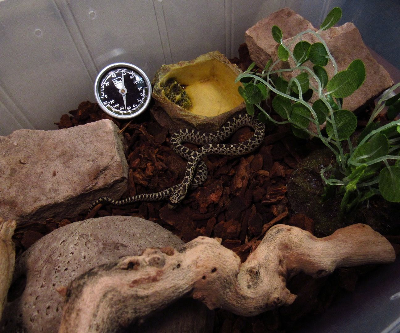 Snake Tub : 7 Steps (with Pictures) - Instructables