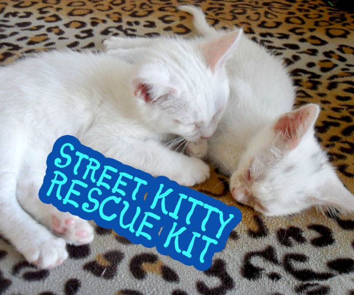 Street Kitty Rescue Kit : 8 Steps (with Pictures) - Instructables