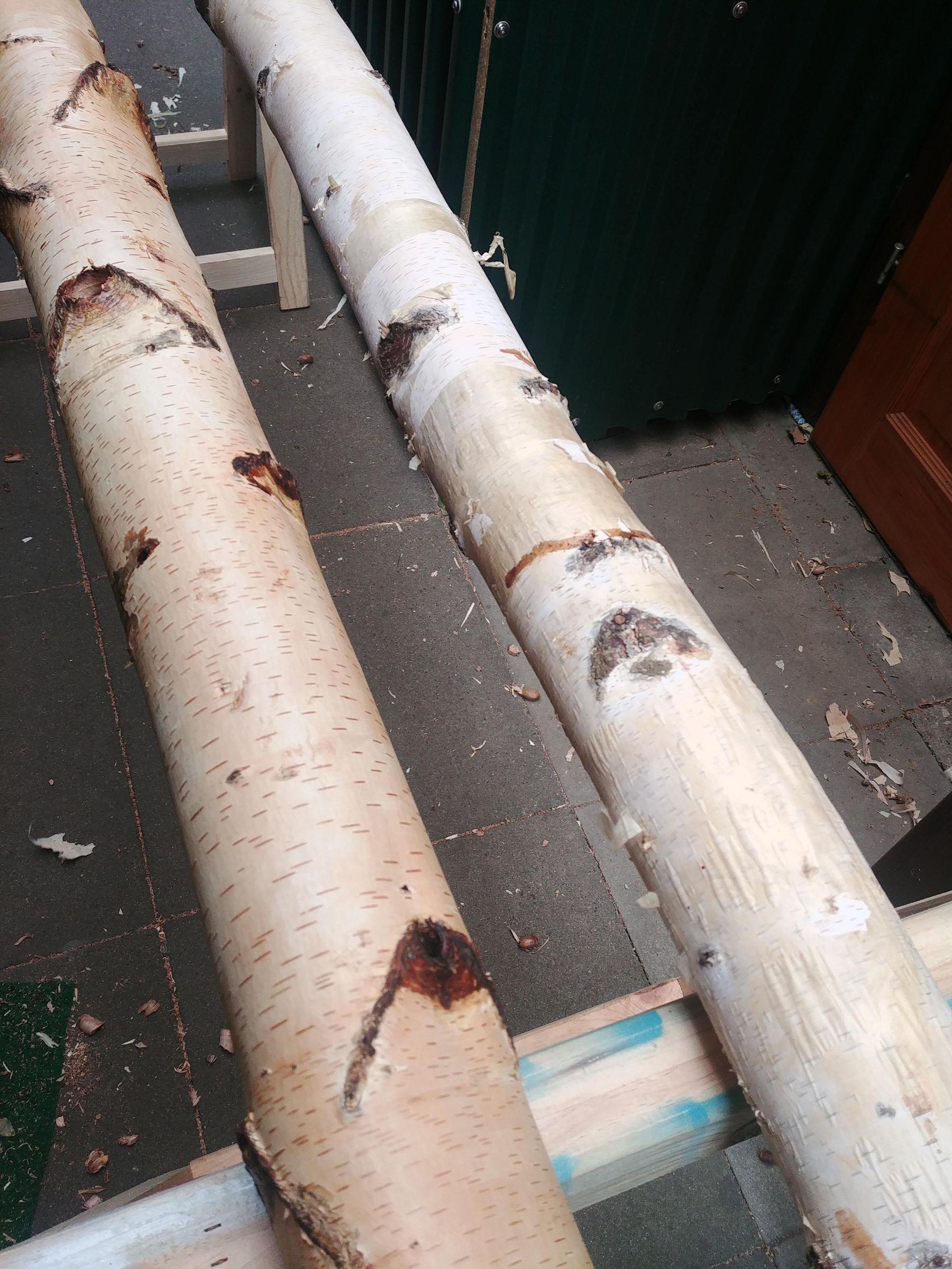 Birch Tree Stand : 4 Steps (with Pictures) - Instructables