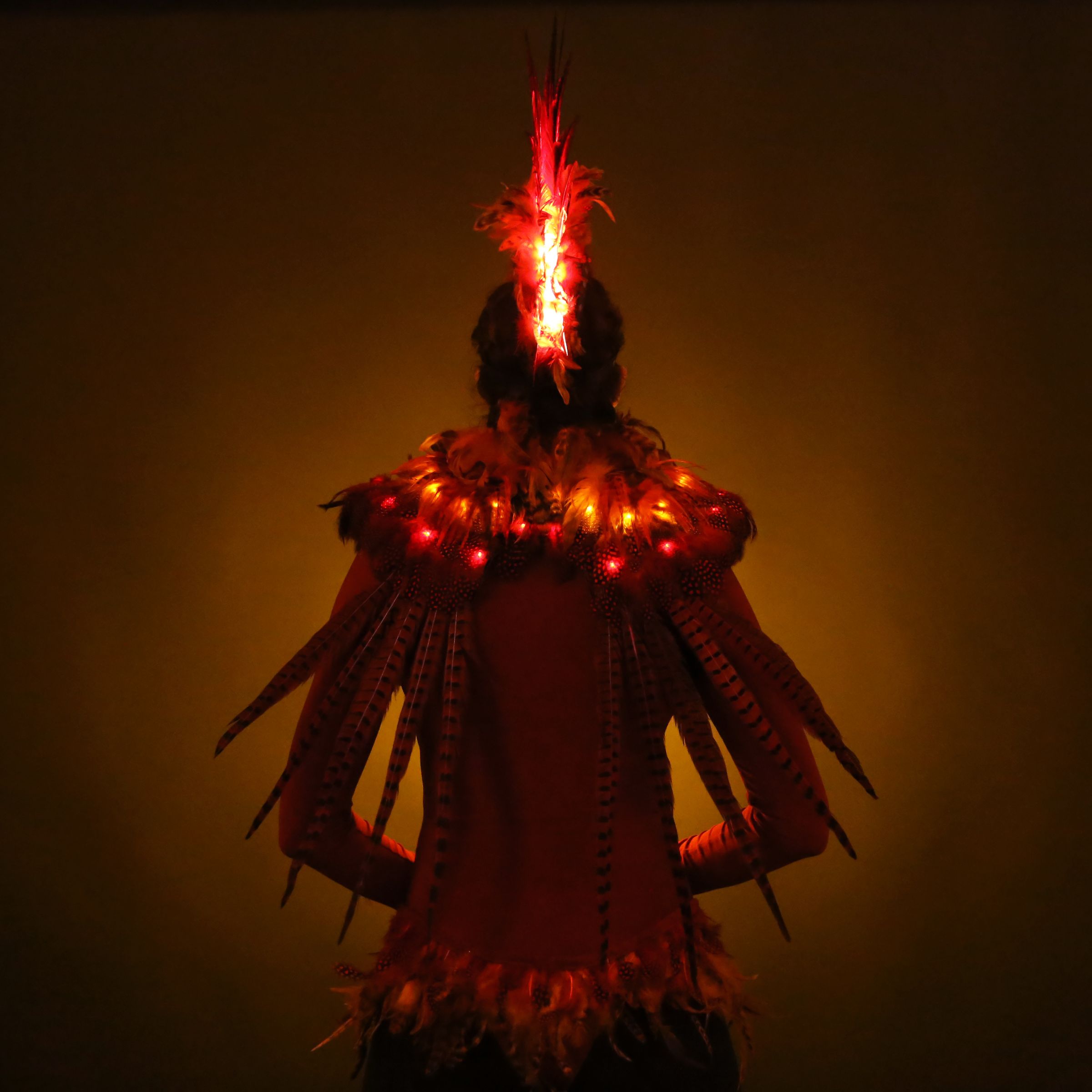Phoenix Costume : 15 Steps (with Pictures) - Instructables