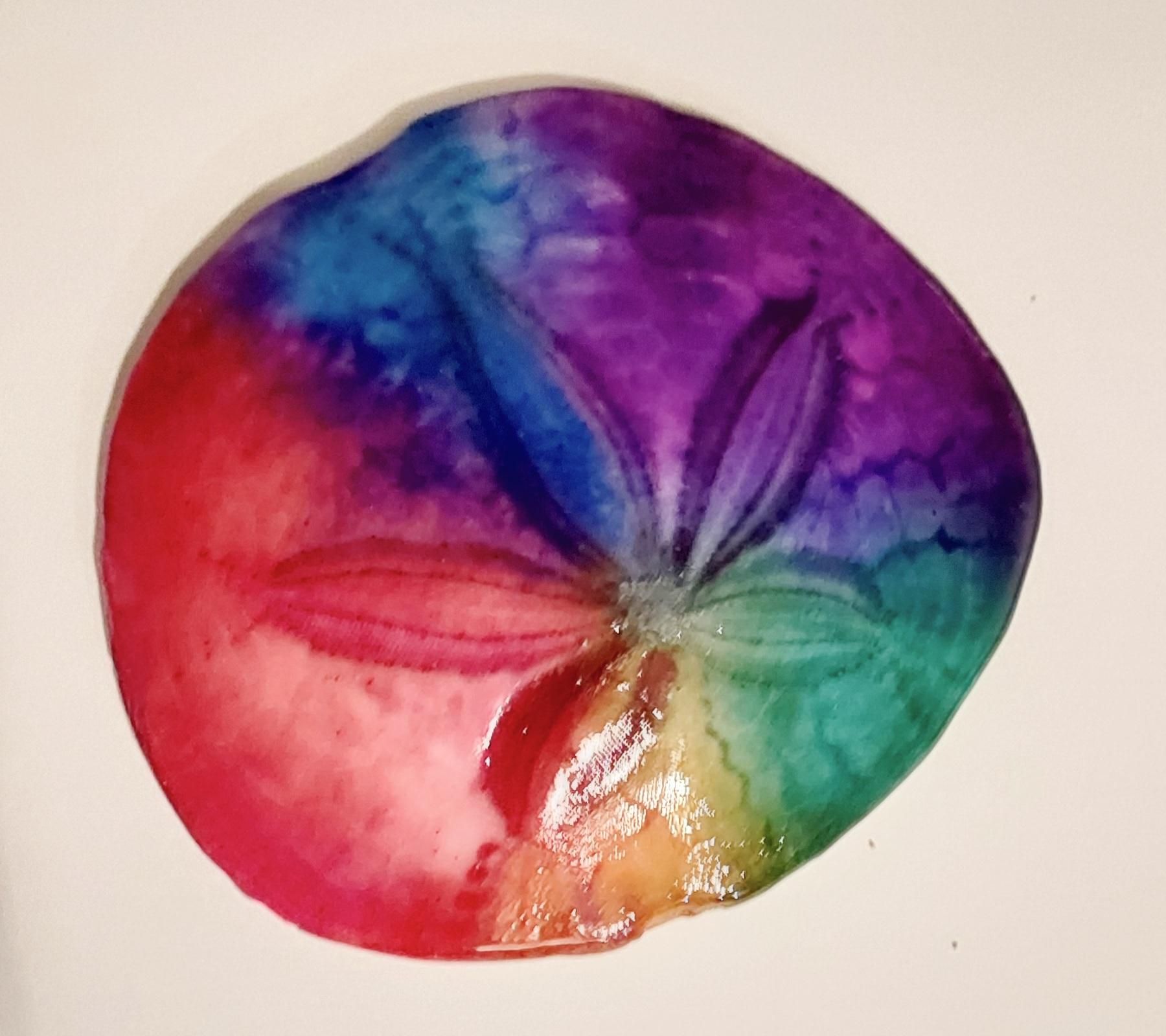 Vivid Rainbow Colored Sand Dollars : 7 Steps - Instructables