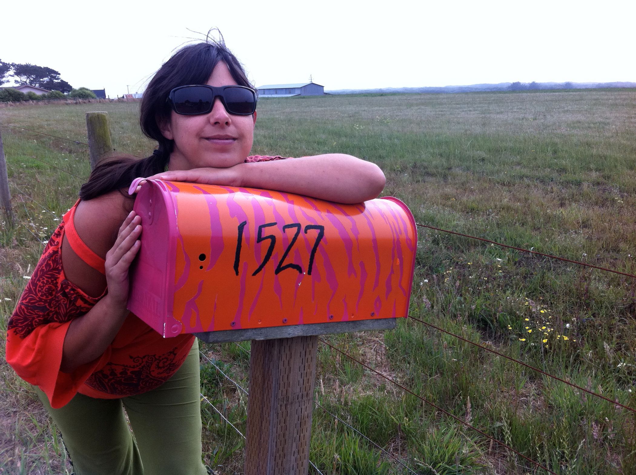 Sexy Mailbox : 5 Steps - Instructables