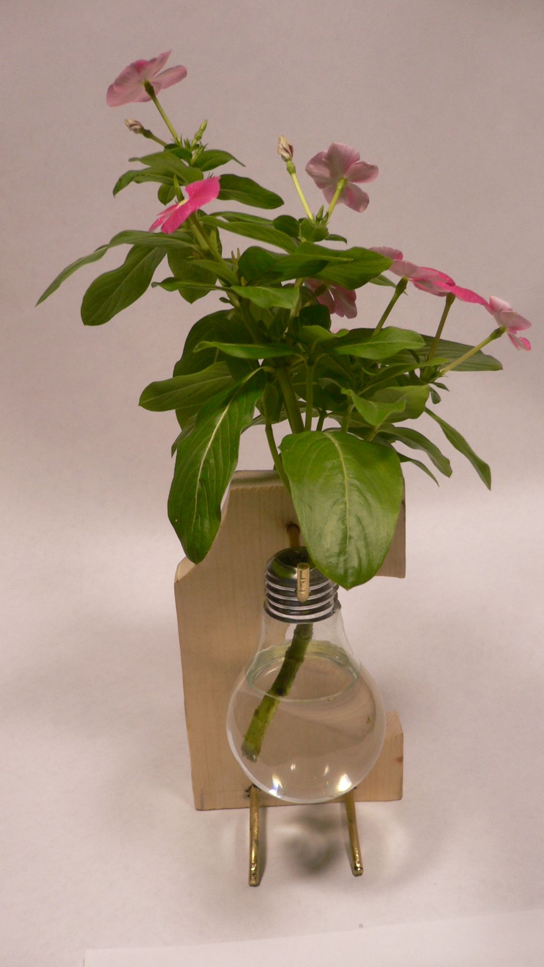 Light Bulb Vase : 7 Steps (with Pictures) - Instructables