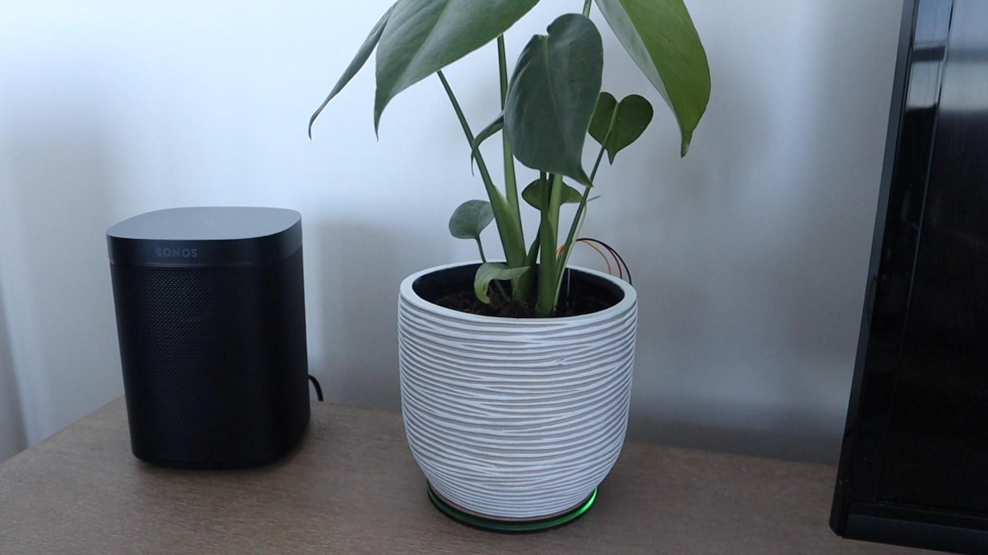 Smart Indoor Plant Monitor - Know When Your Plant Needs Watering : 8 ...