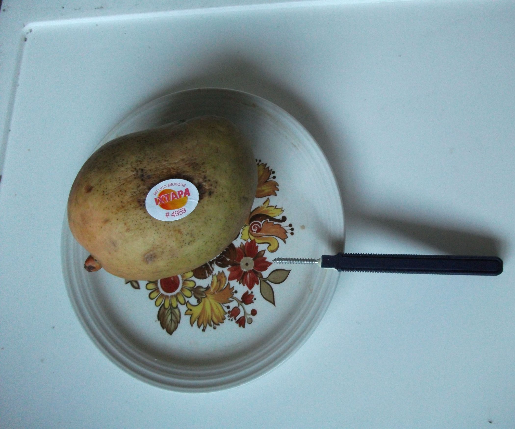 Mango Stick : 3 Steps - Instructables