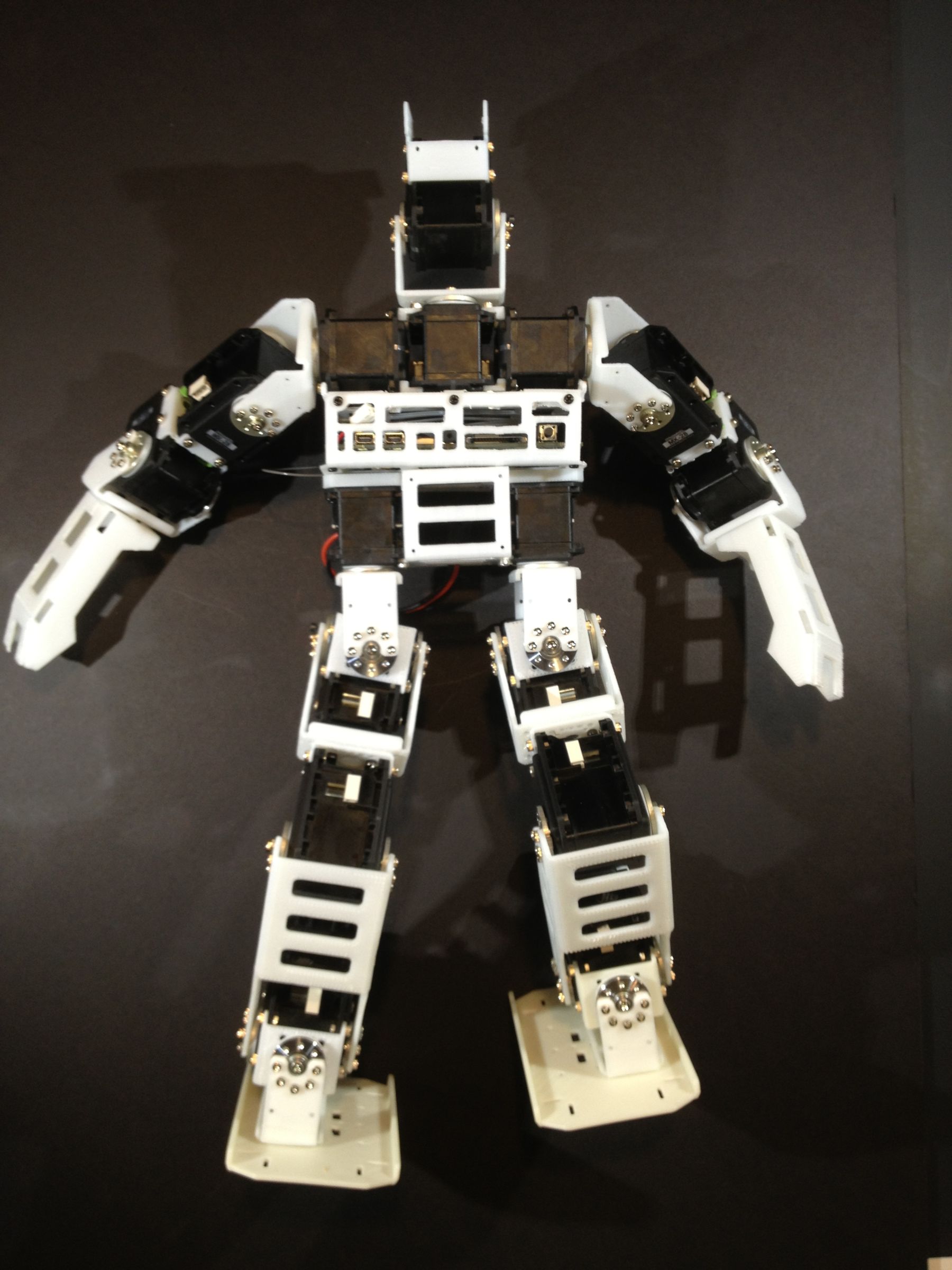 Robot Cloning by DIY 3d Printers! : 18 Steps (with Pictures ...