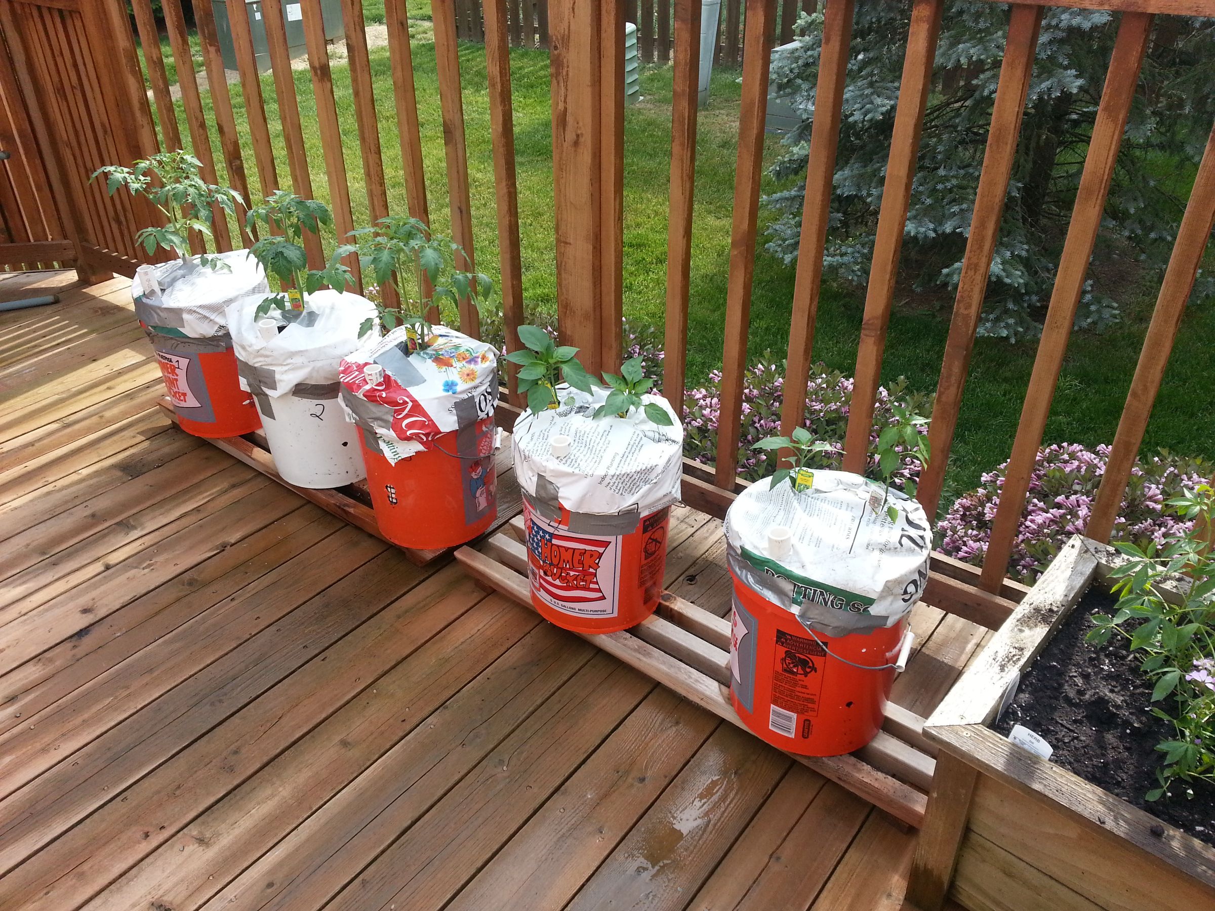 Bucket Planter : 7 Steps - Instructables