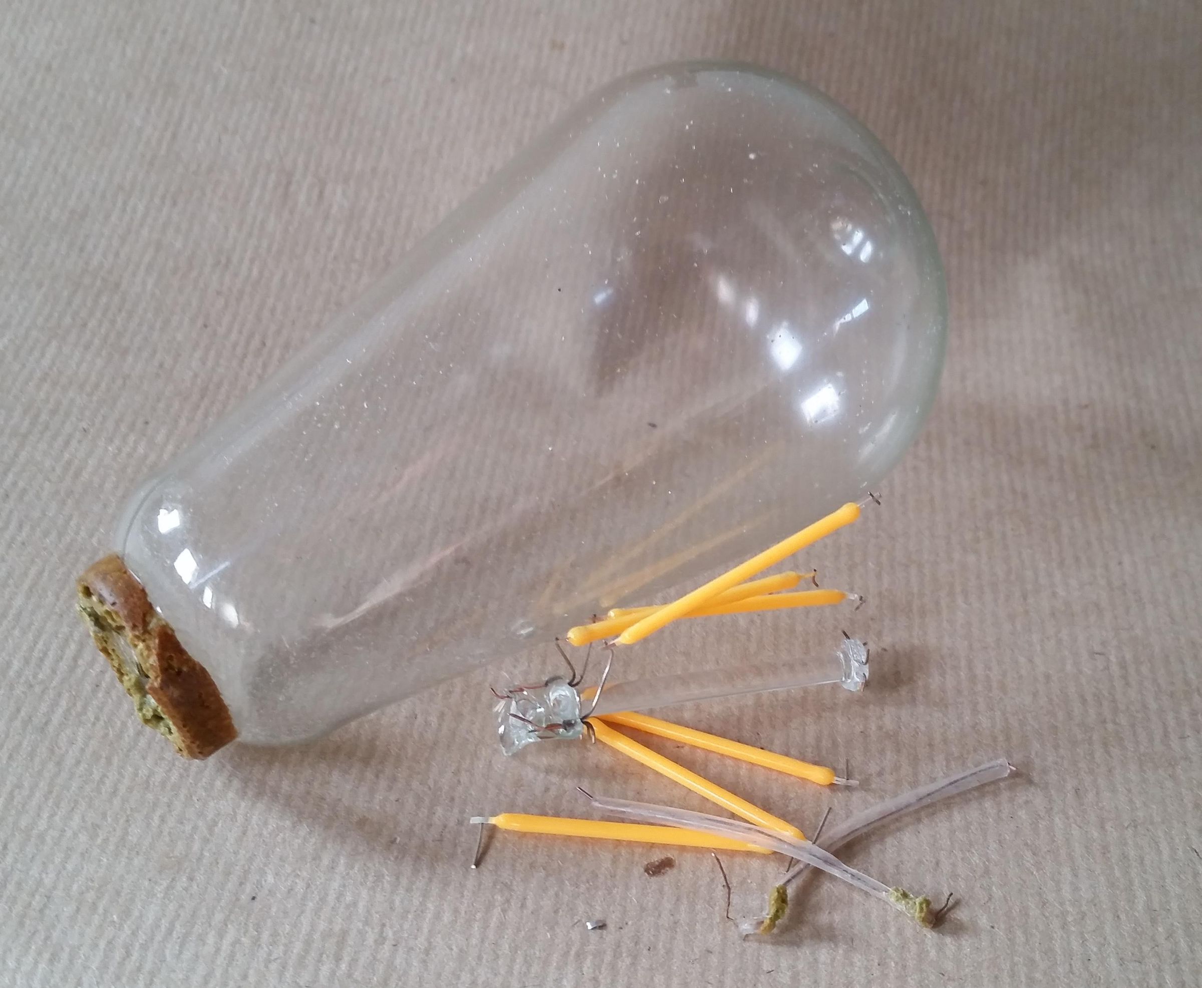 Water Propping Station From Light Bulbs : 8 Steps (with Pictures ...