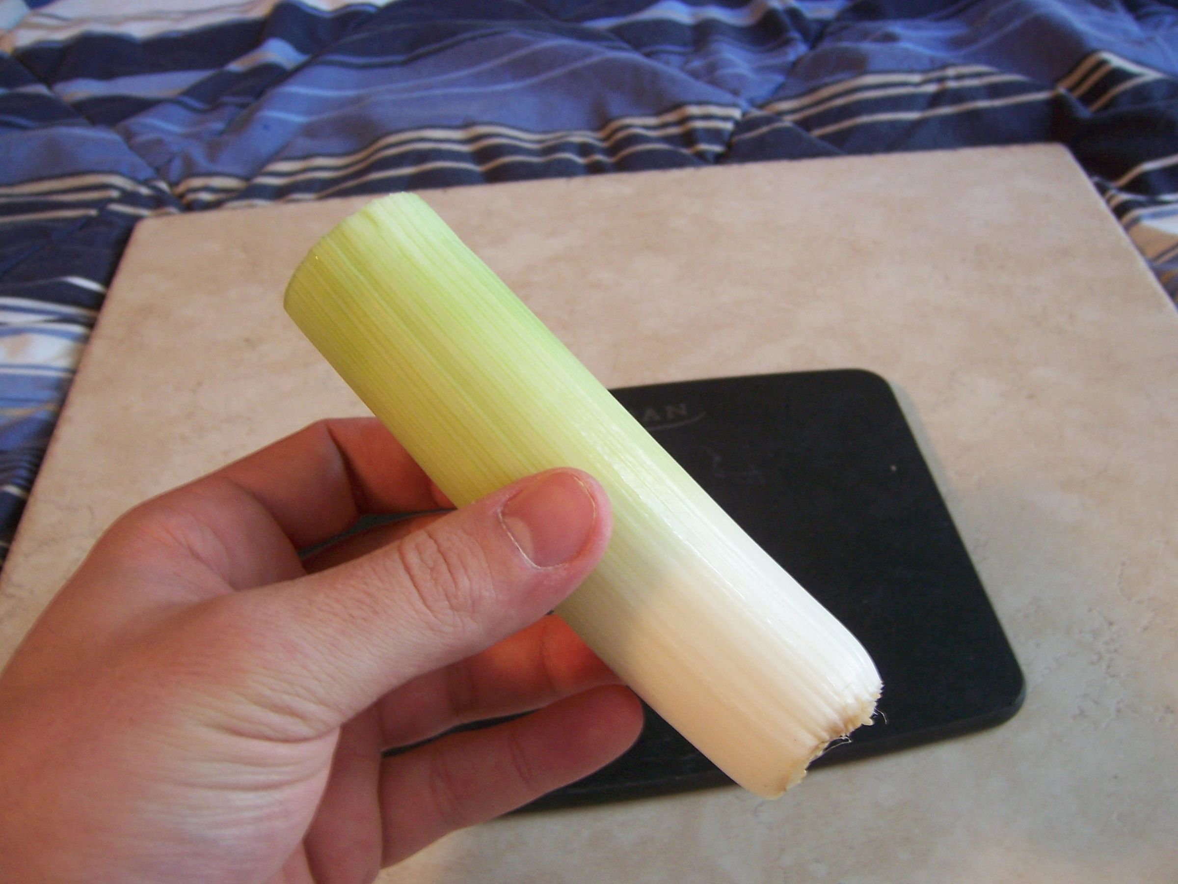 Easy Leek Flower/ Ribbon for Garnish : 9 Steps (with Pictures ...