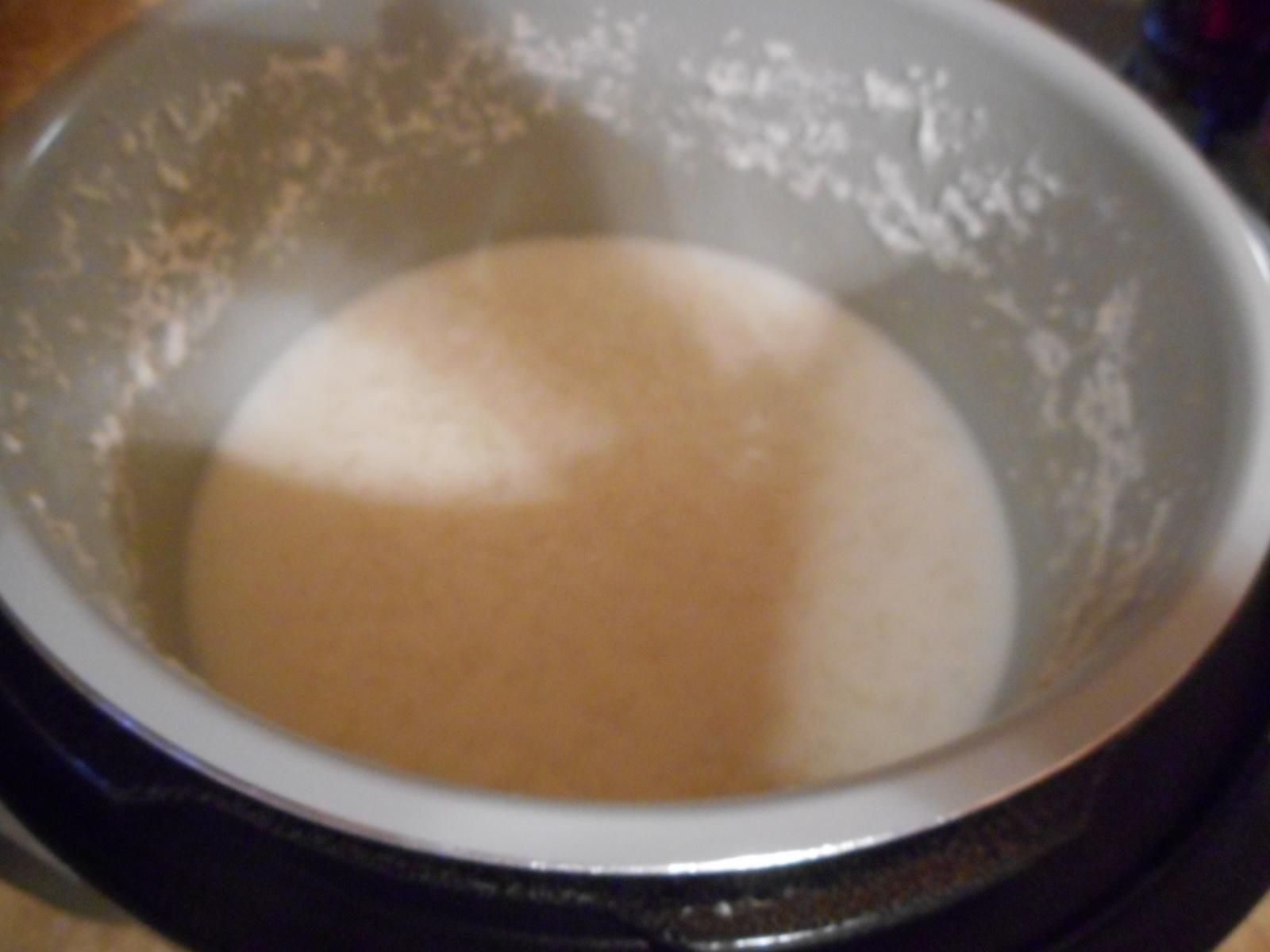 PRESSURE COOKER CREAMY COCONUT RICE PUDDING : 13 Steps (with Pictures ...