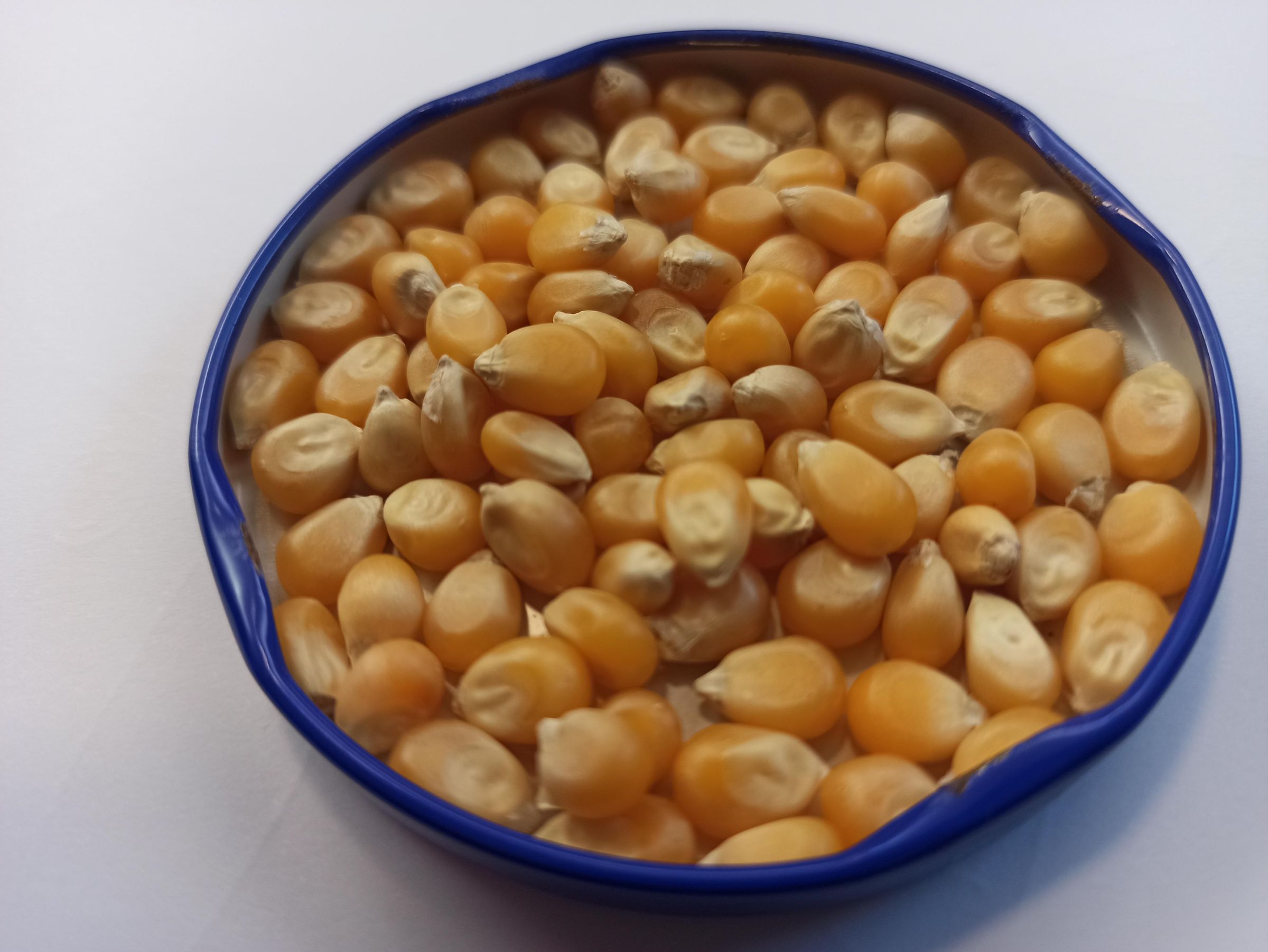 Easy Grains Art : 3 Steps - Instructables