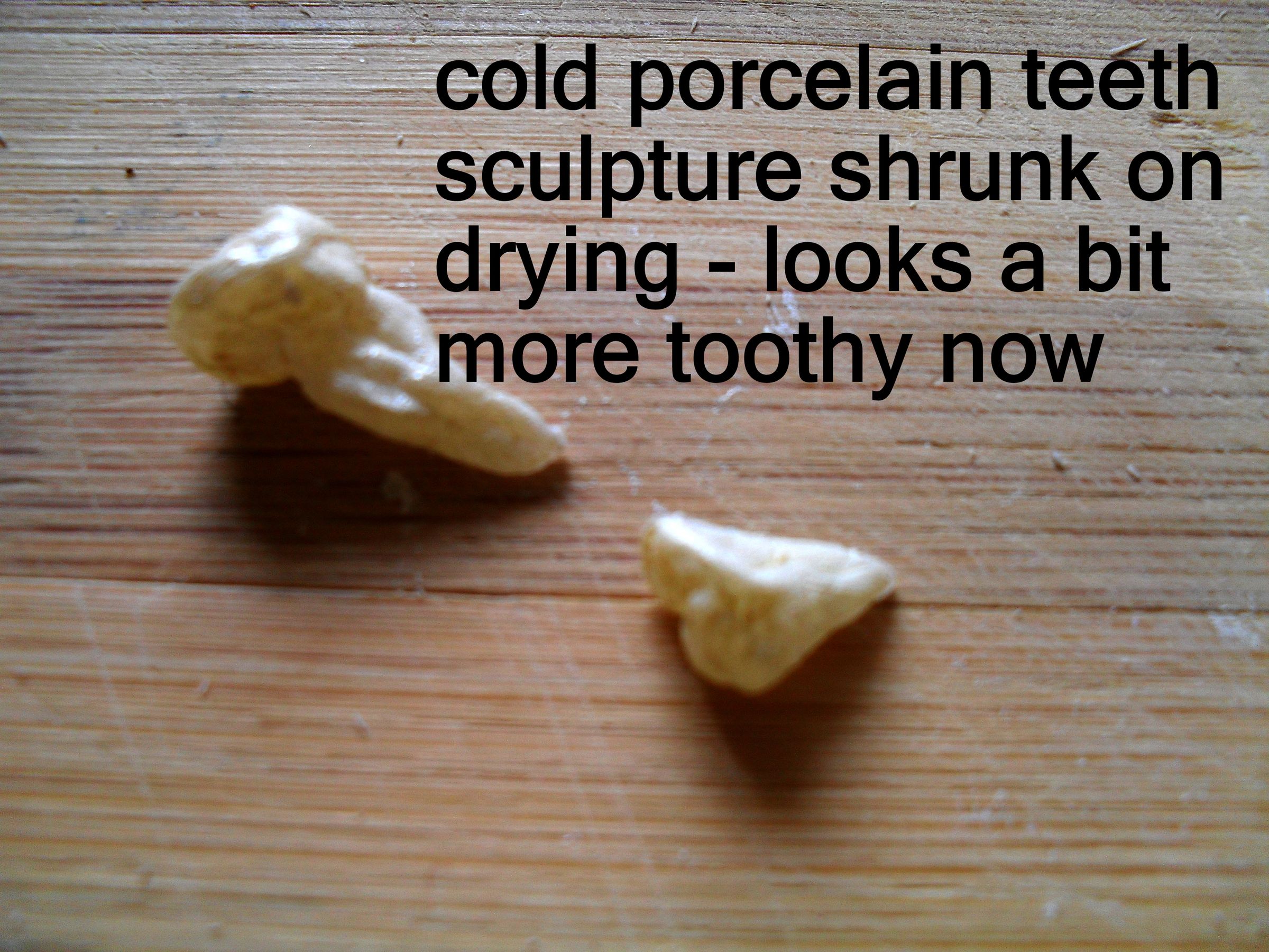 Tooth Rings - Instructables