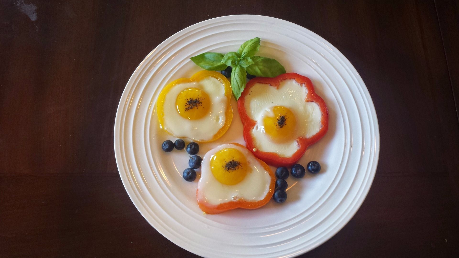 Sunny Side Up (with Pictures) - Instructables