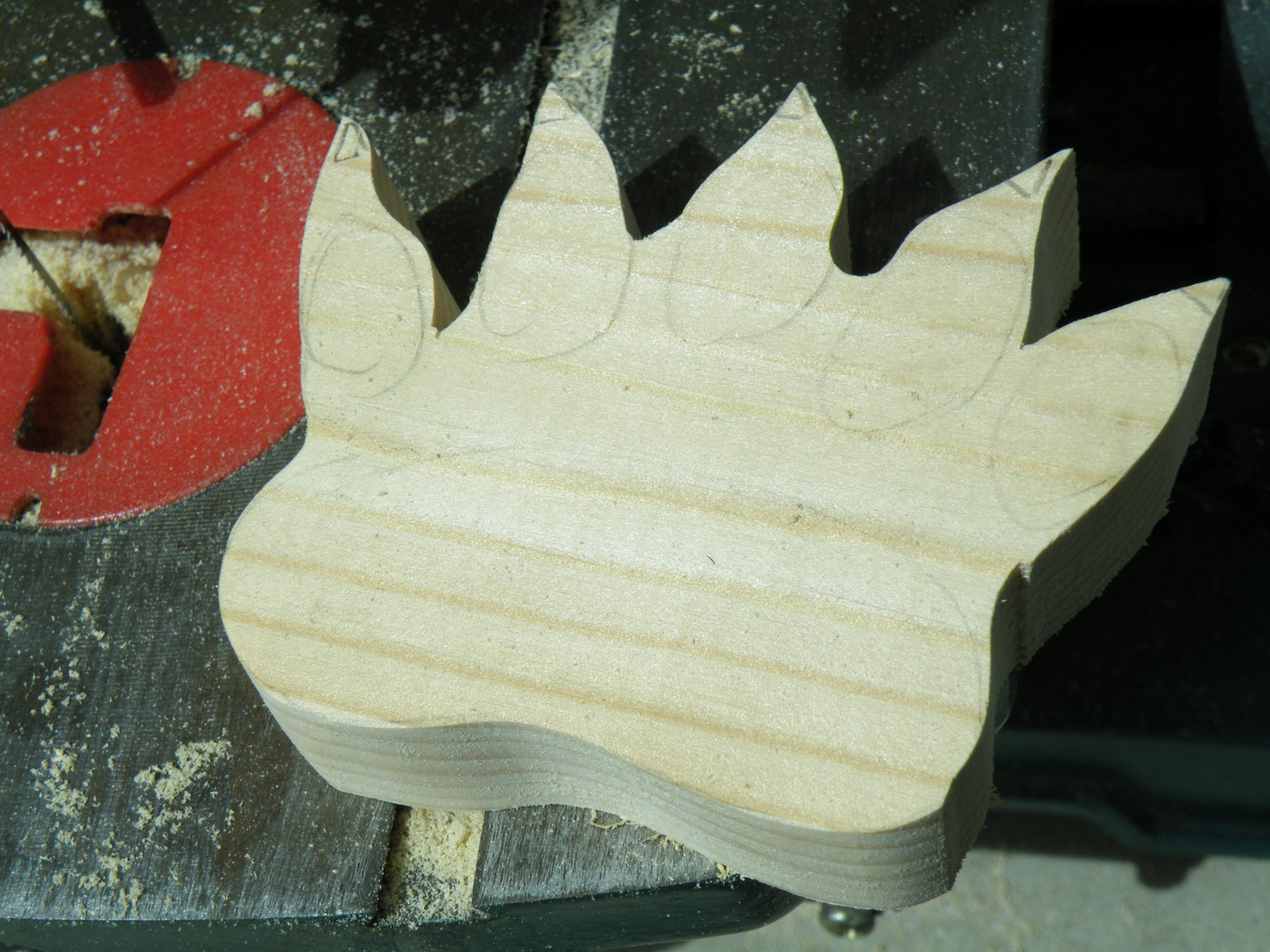 Animal Tracks for Plaster Casting. : 5 Steps (with Pictures ...