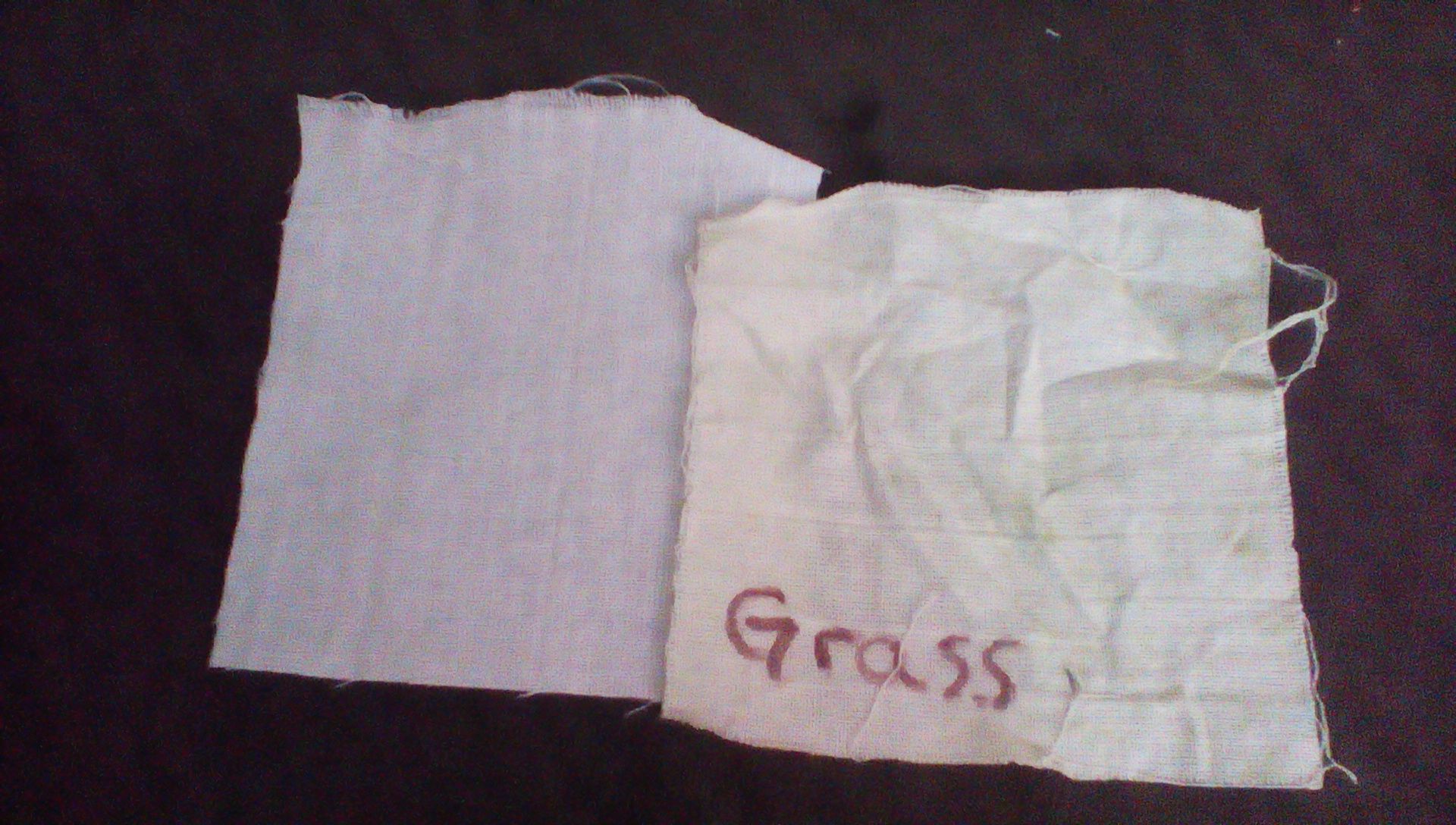 Naturally Dyed Fabric Experiment : 7 Steps (with Pictures) - Instructables