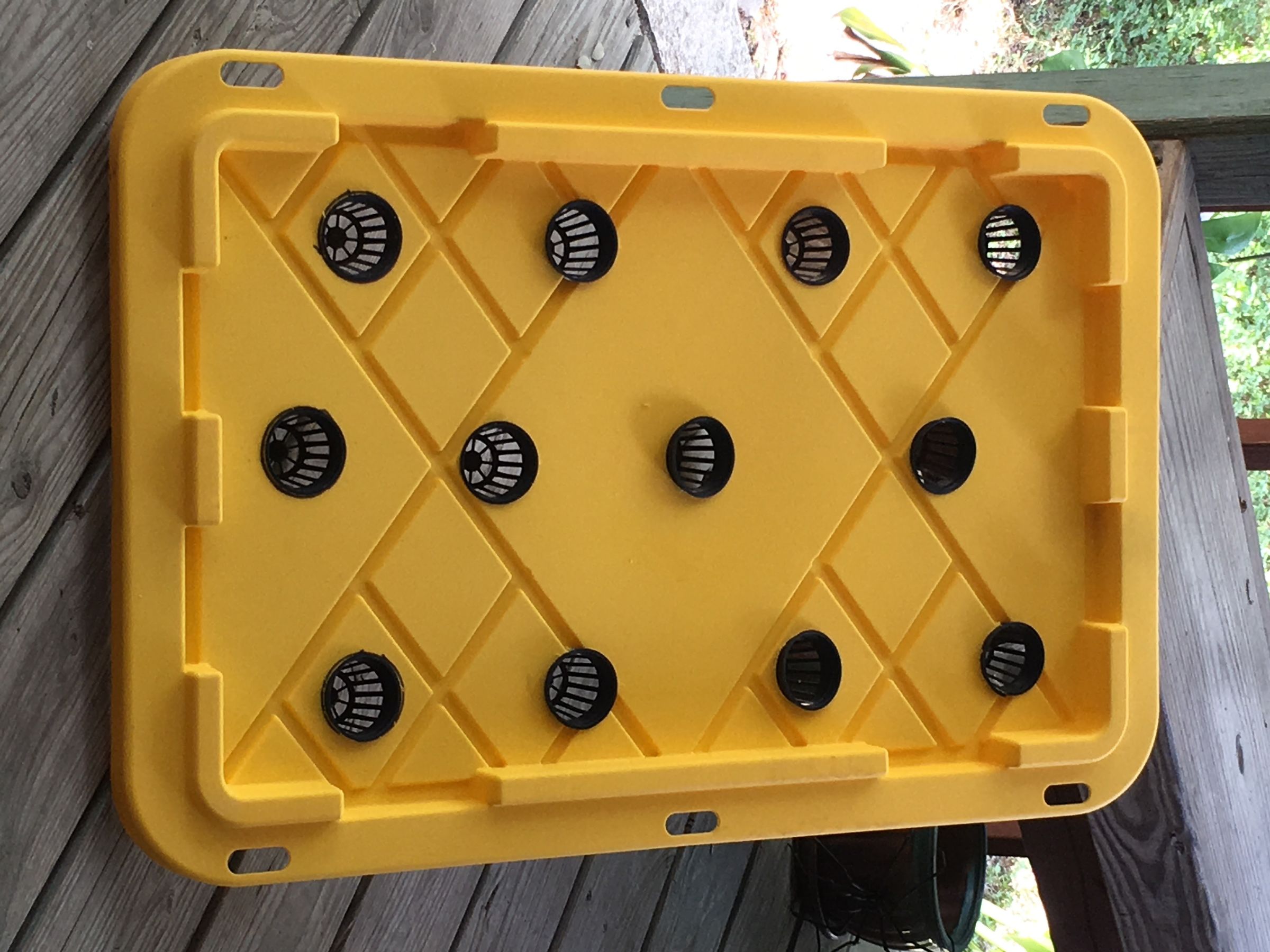 TRUE Aeroponics - Simple Indoors Low Water Lettuce Growing Fogponics ...