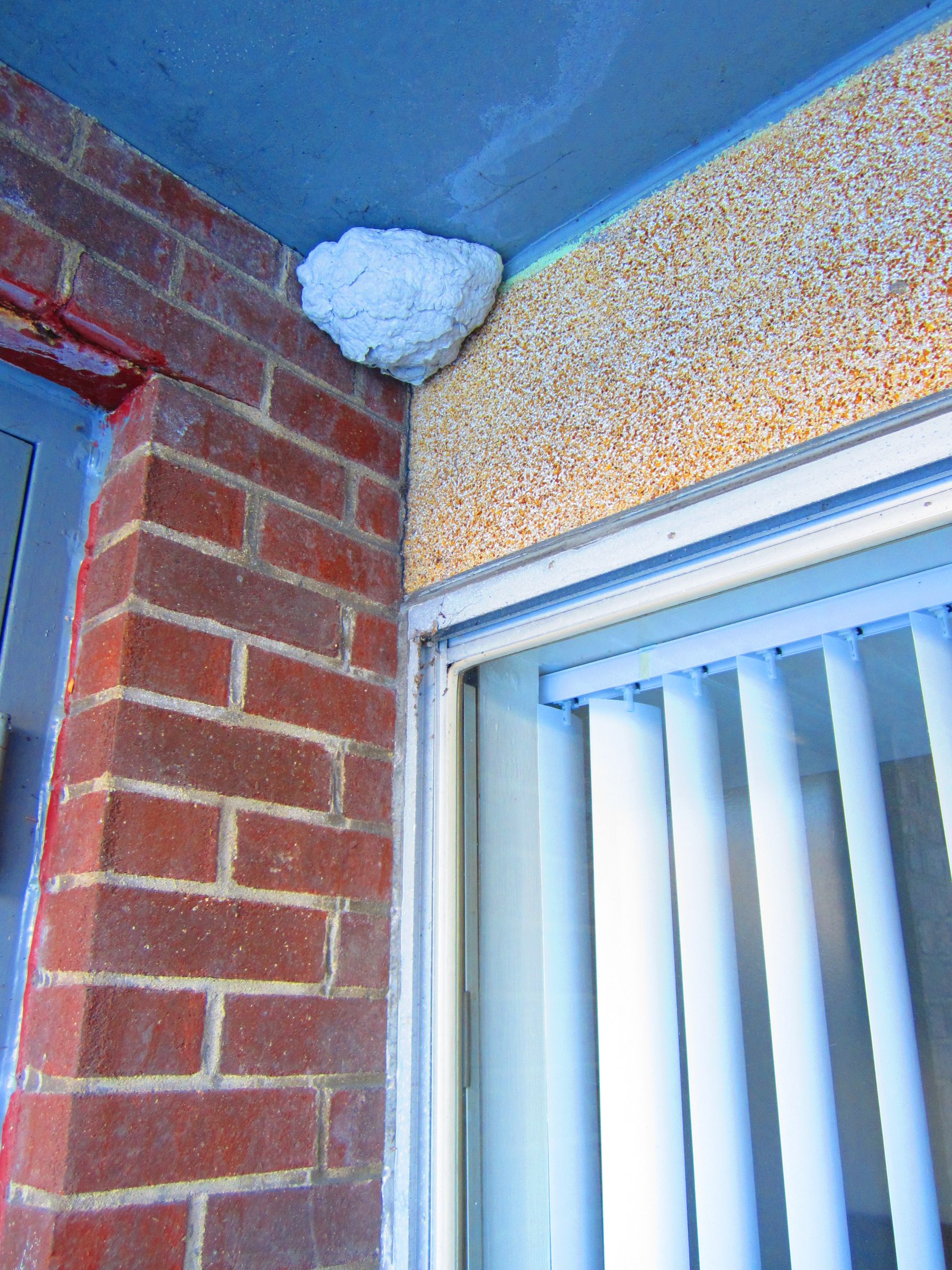 Hornets Nest Hiding Spot : 3 Steps (with Pictures) - Instructables