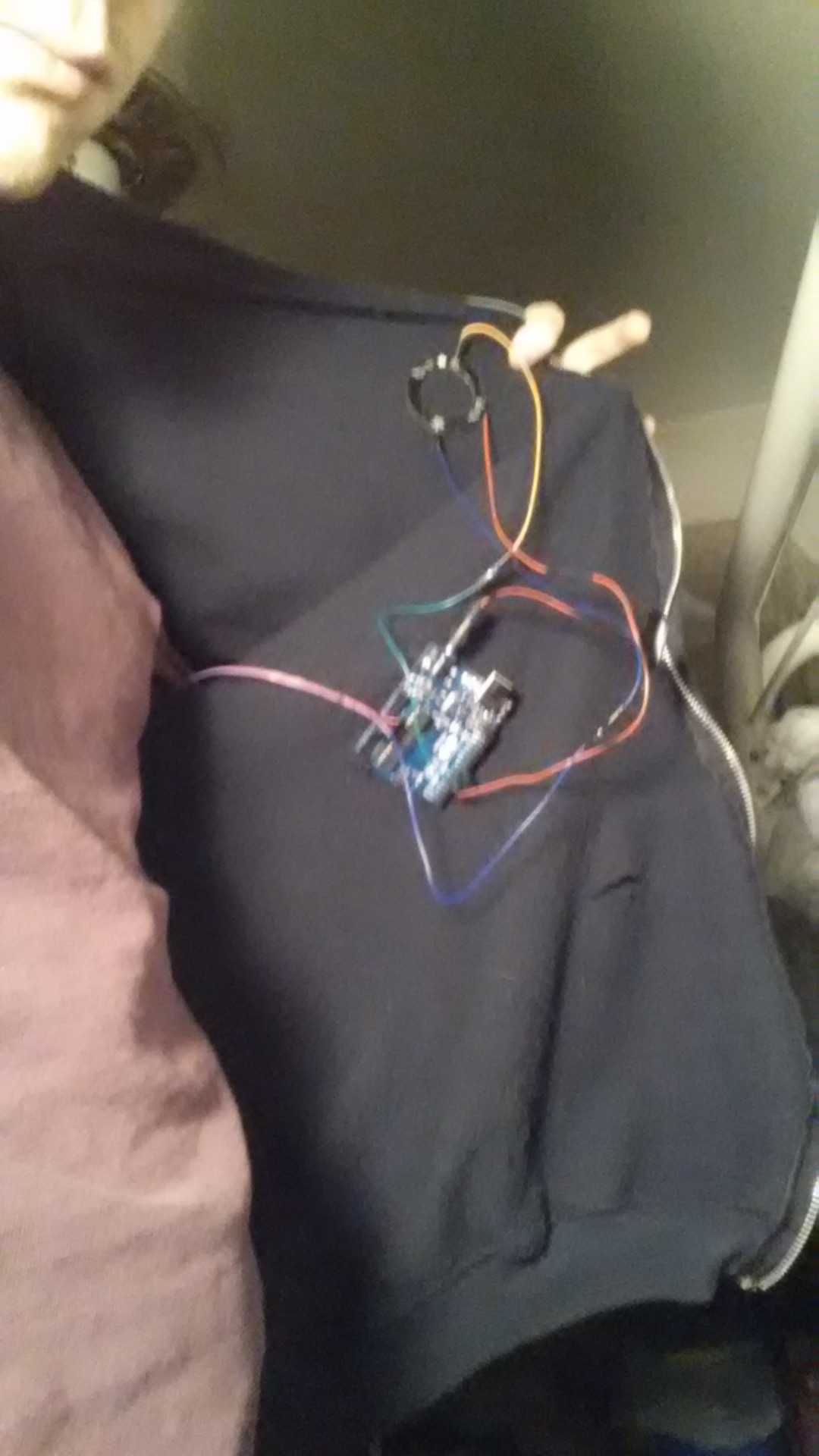 NeoPixel LED Heart Sensor Jacket : 6 Steps - Instructables