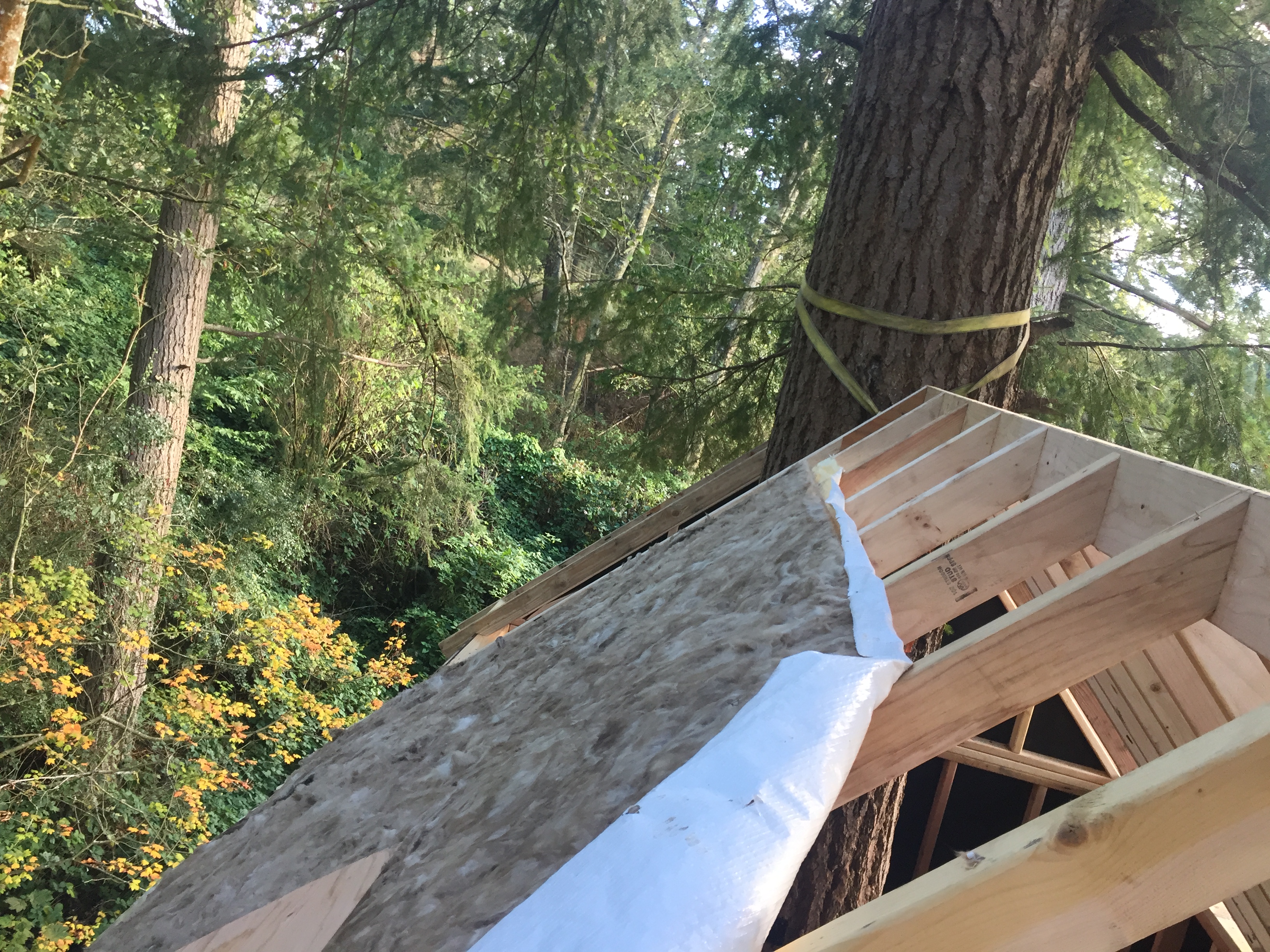 Treehouse Build : 10 Steps (with Pictures) - Instructables